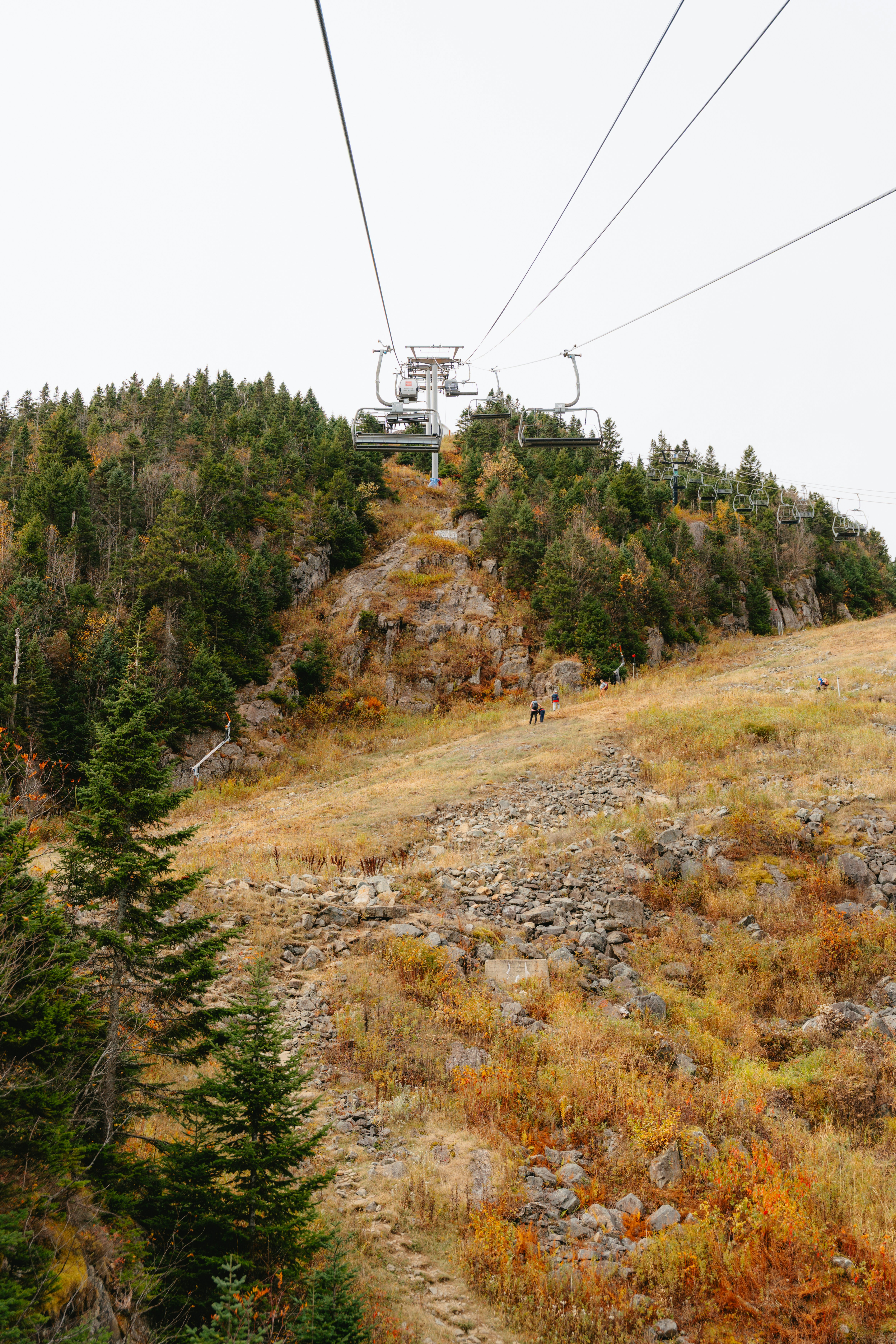 Ridge Lift Through Burnished Pines and Granite