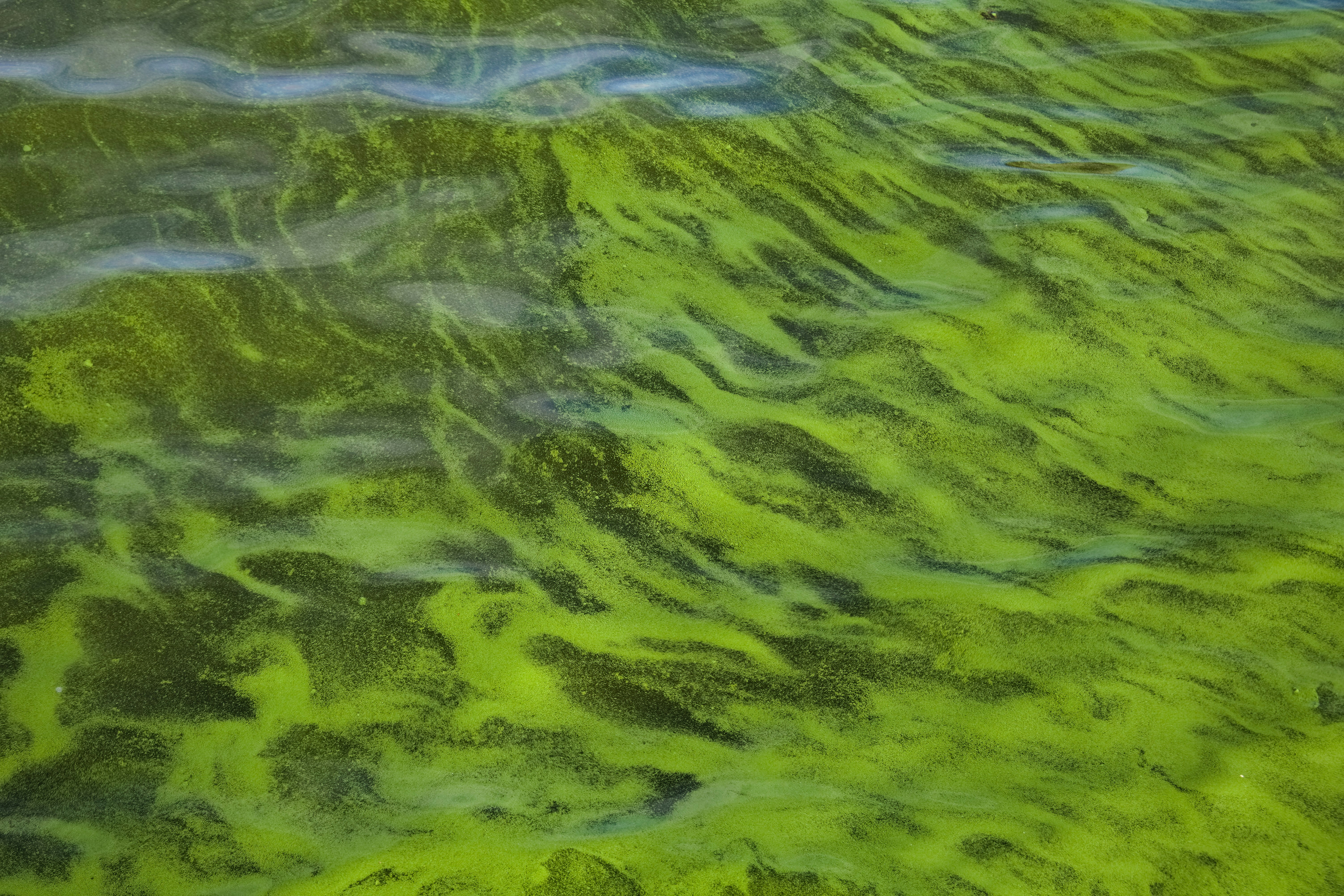 Lennart K (@lnrtdev) | Unsplash Photo Community