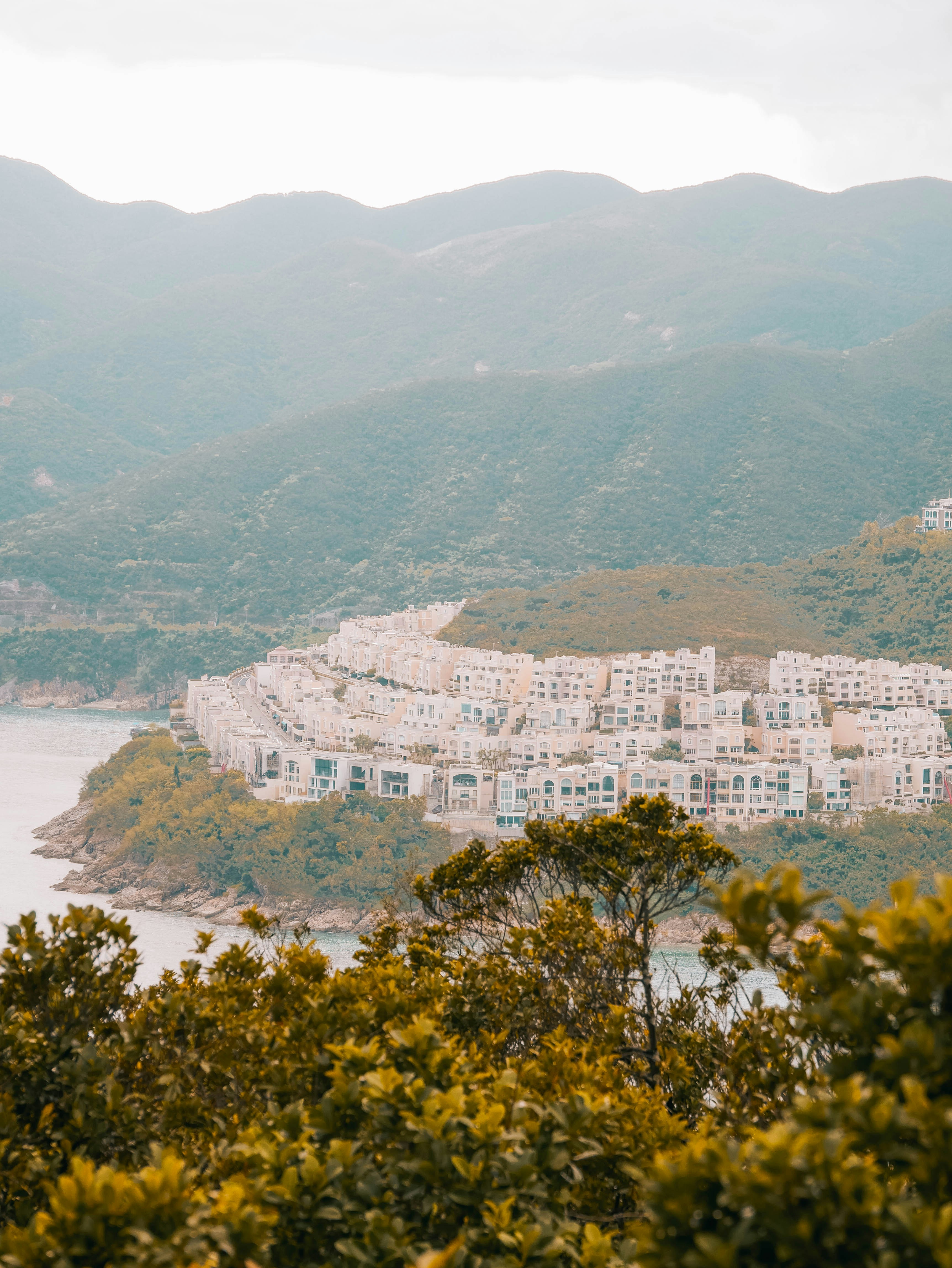 Coastal Haven: Modern Homes Embracing Nature
