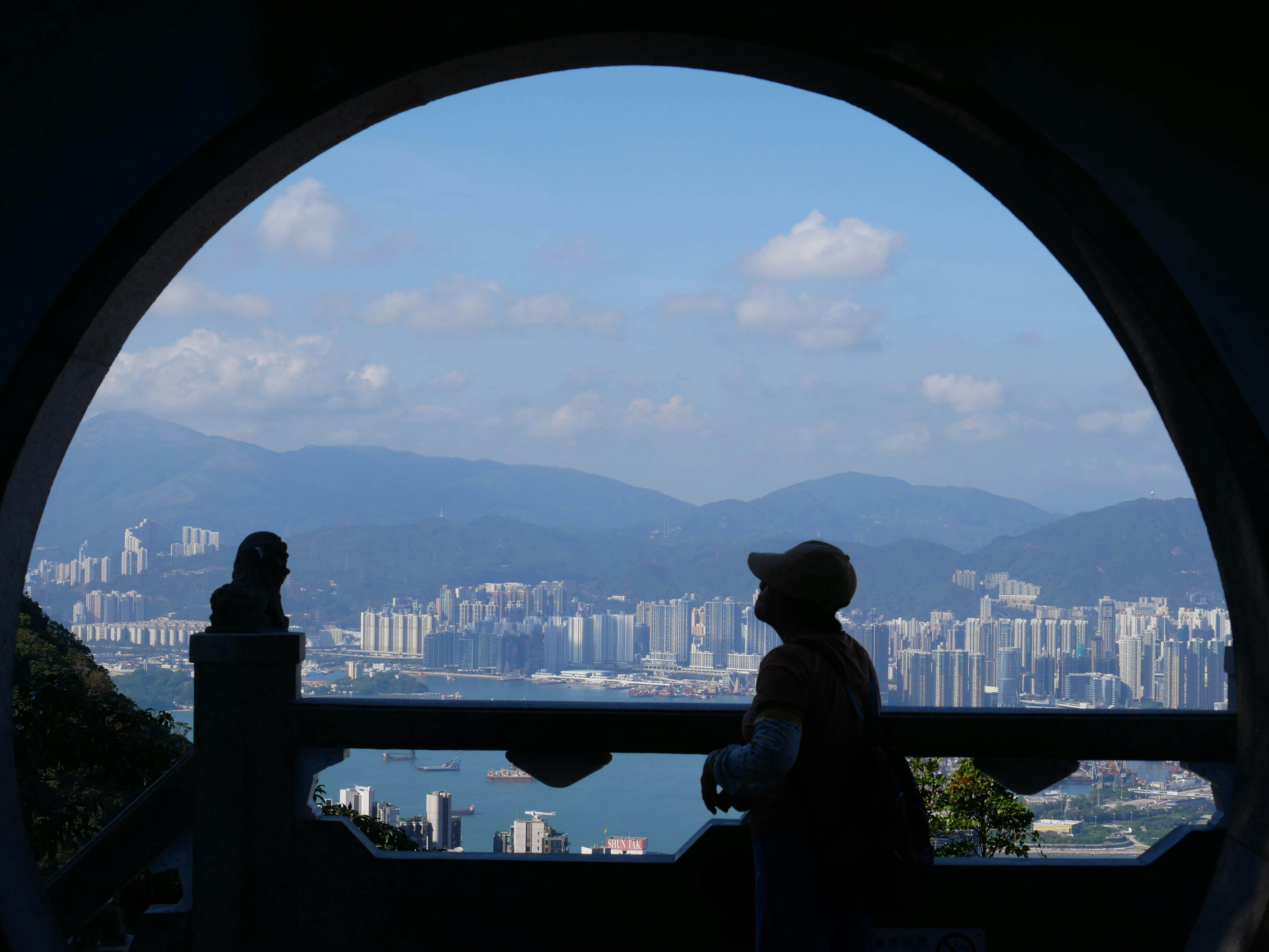 Urban Silhouette Framed by Nature's Arch