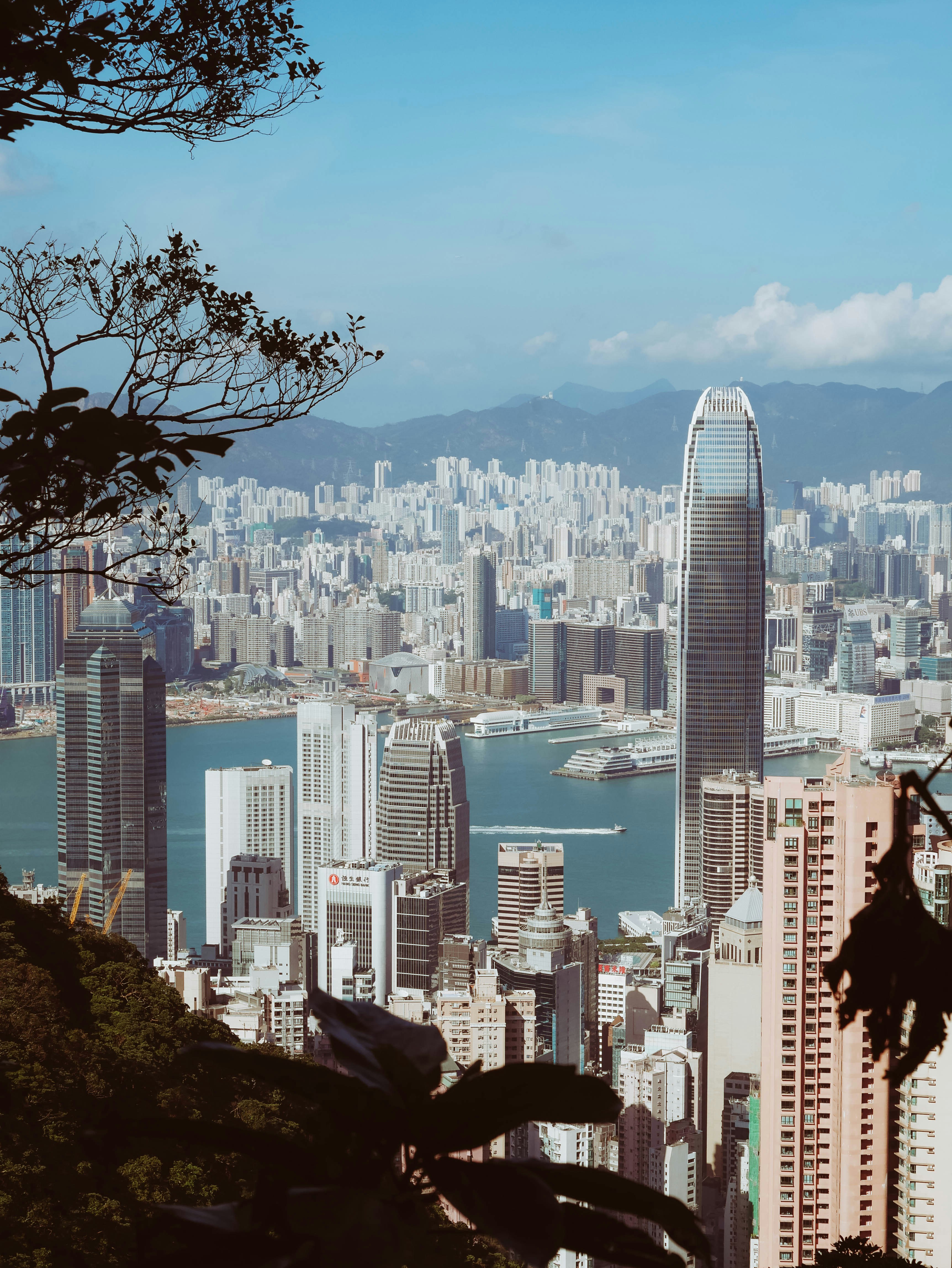 Urban Symphony: A High-Altitude Perspective of Hong Kong