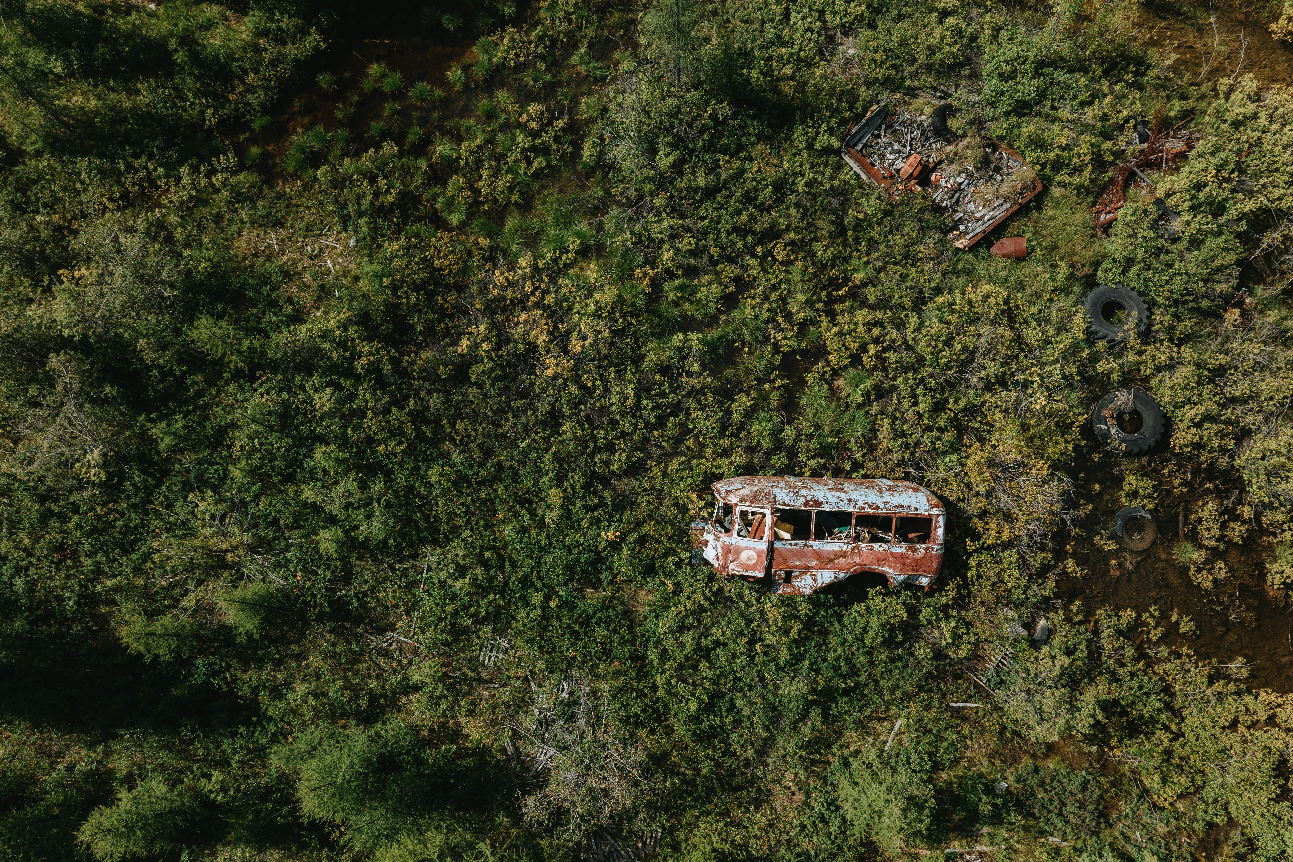 Abandoned bus overgrown with lush green vegetation