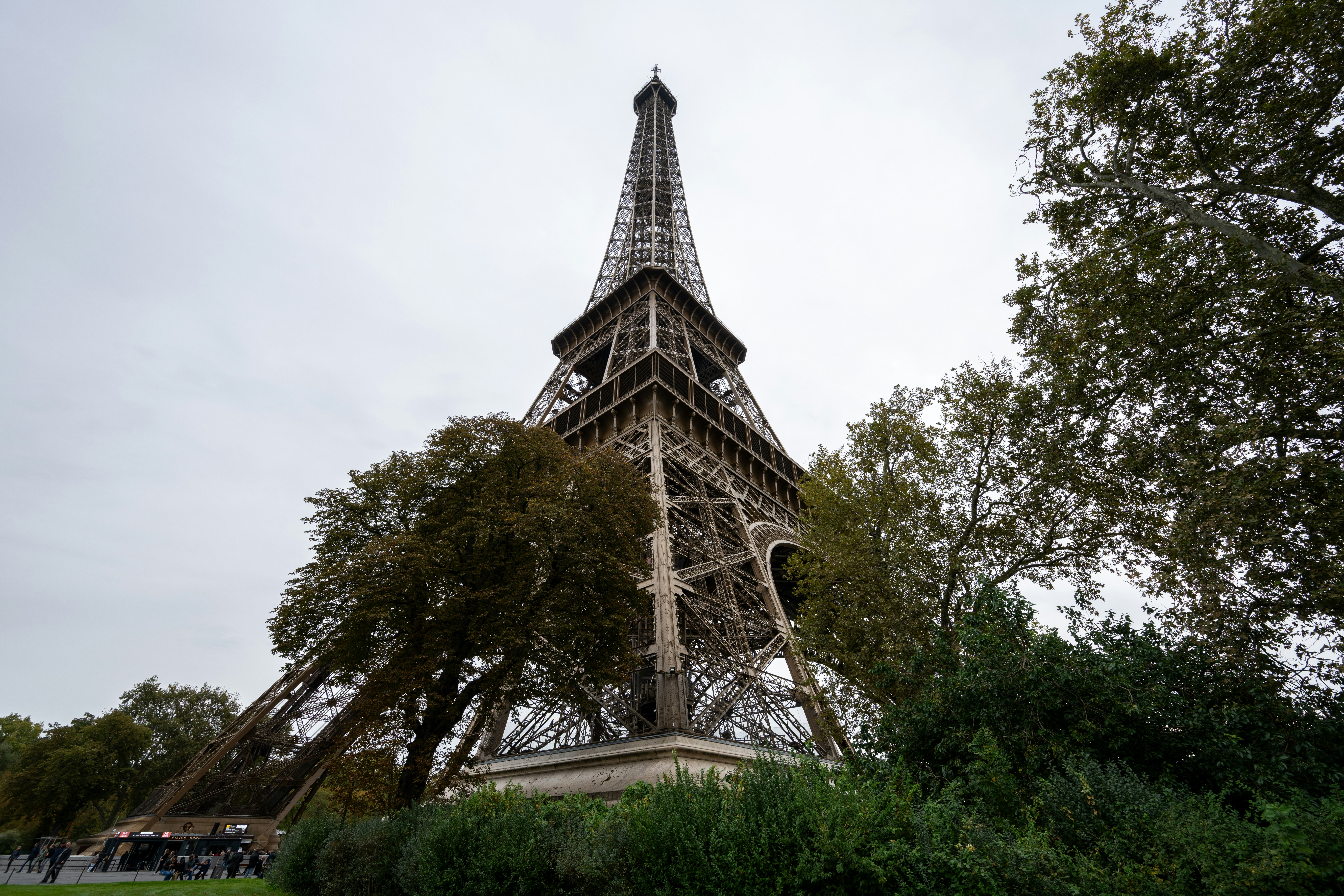 Eiffel Tower framed by lush trees, showcasing its intricate iron lattice against a moody sky.