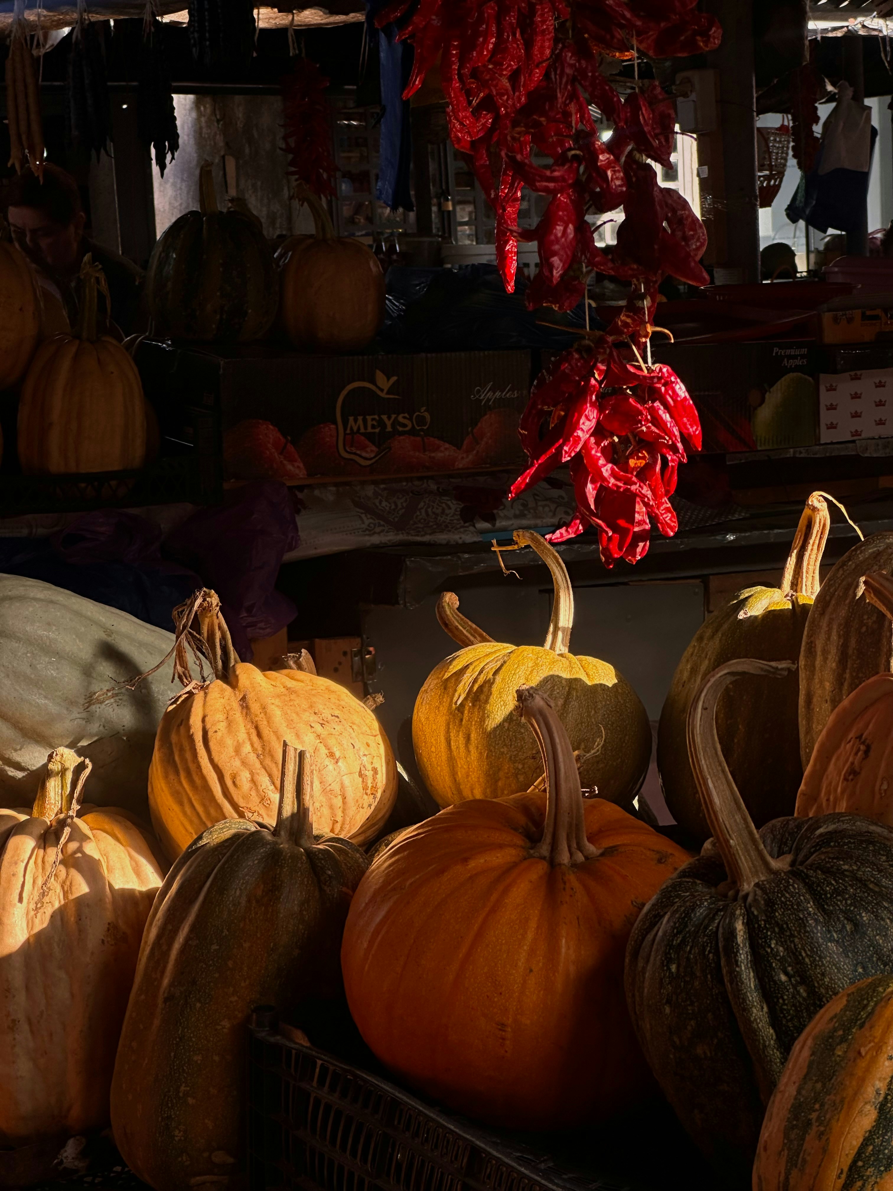 Harvest Colors: A Market's Bounty