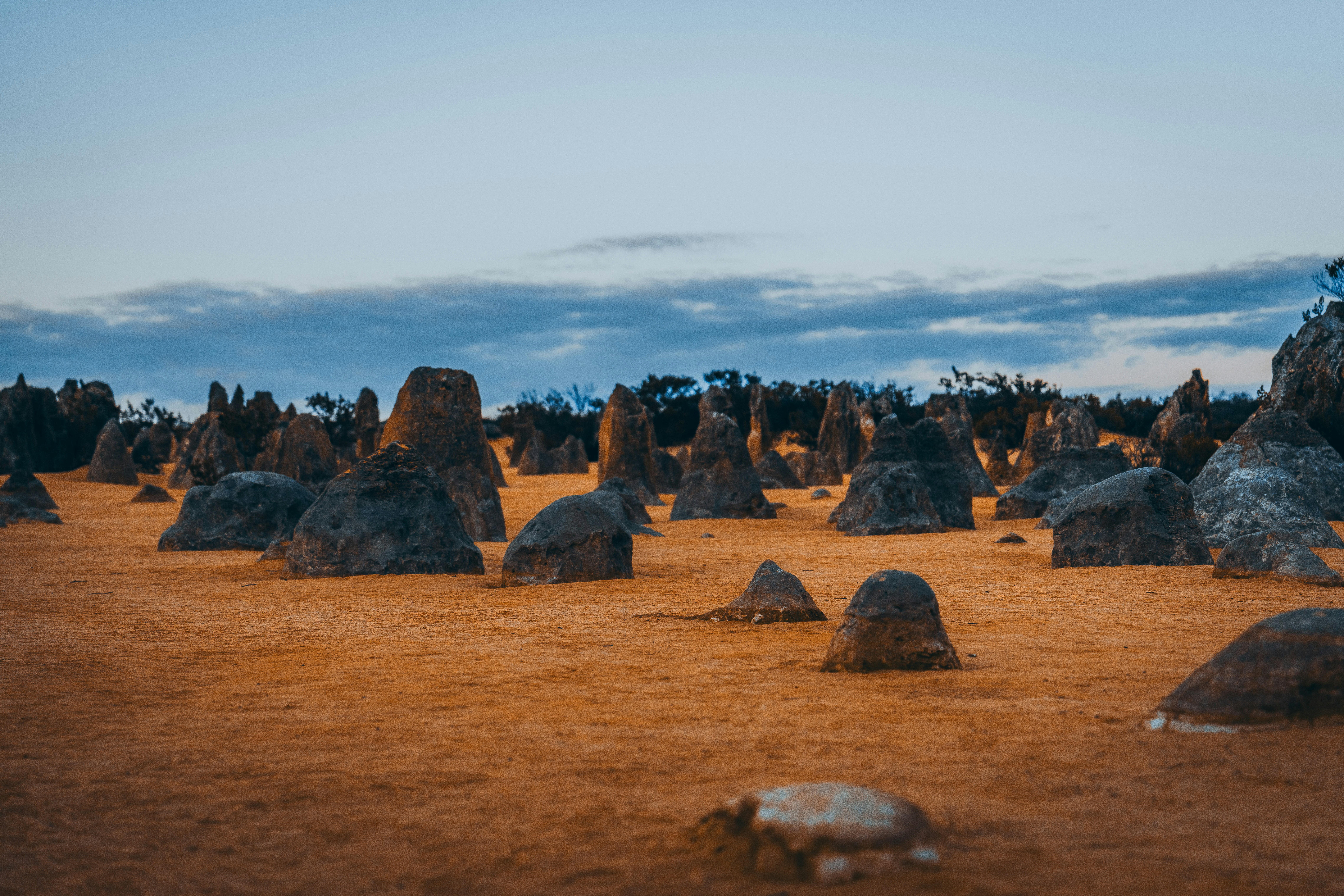 Limestone pinnacles in a desert landscape at dusk