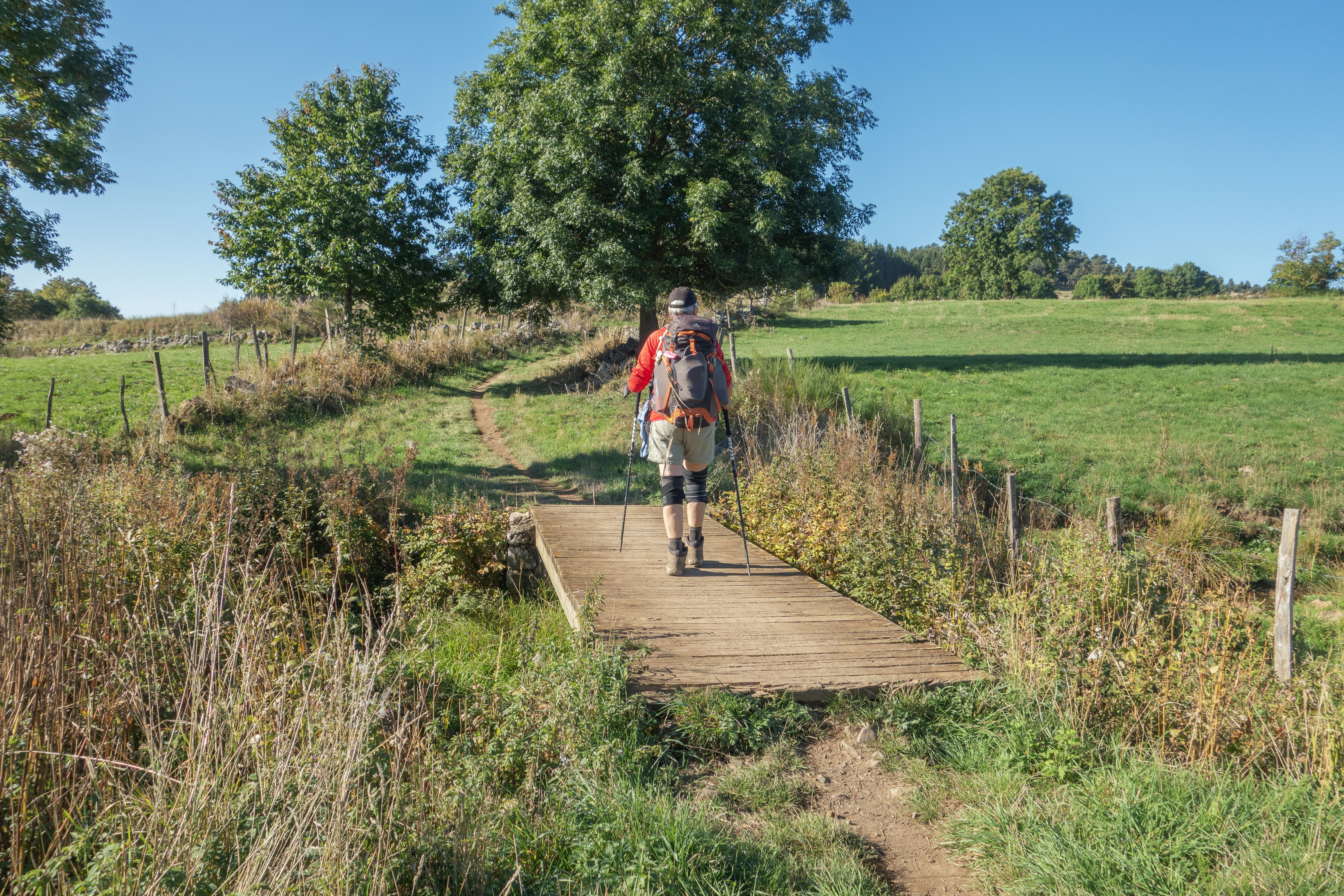 Hiker crossing a wooden bridge surrounded by lush greenery and open fields under a clear blue sky.