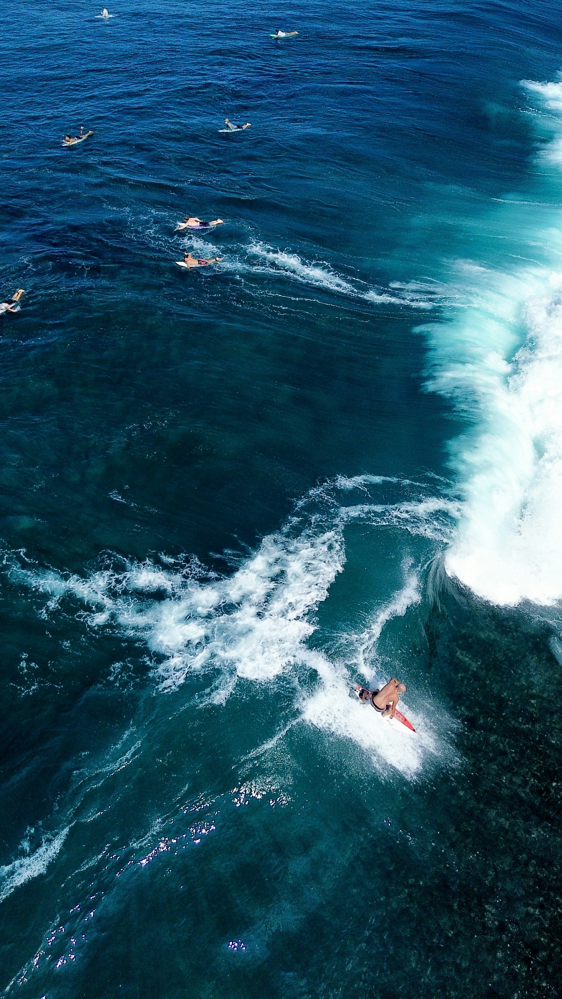 Riding the Wave of Adventure