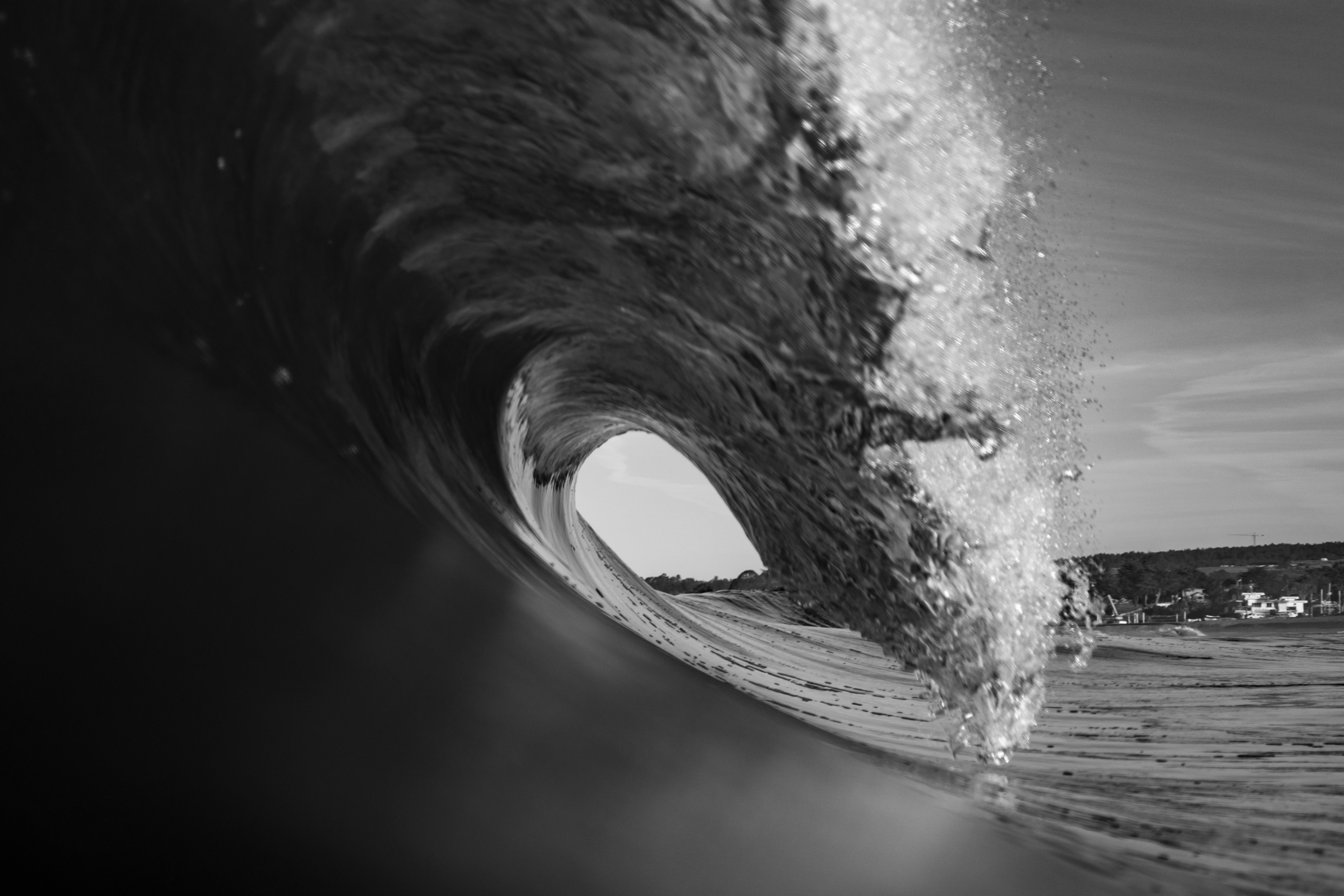 The Embrace of the Ocean's Curl