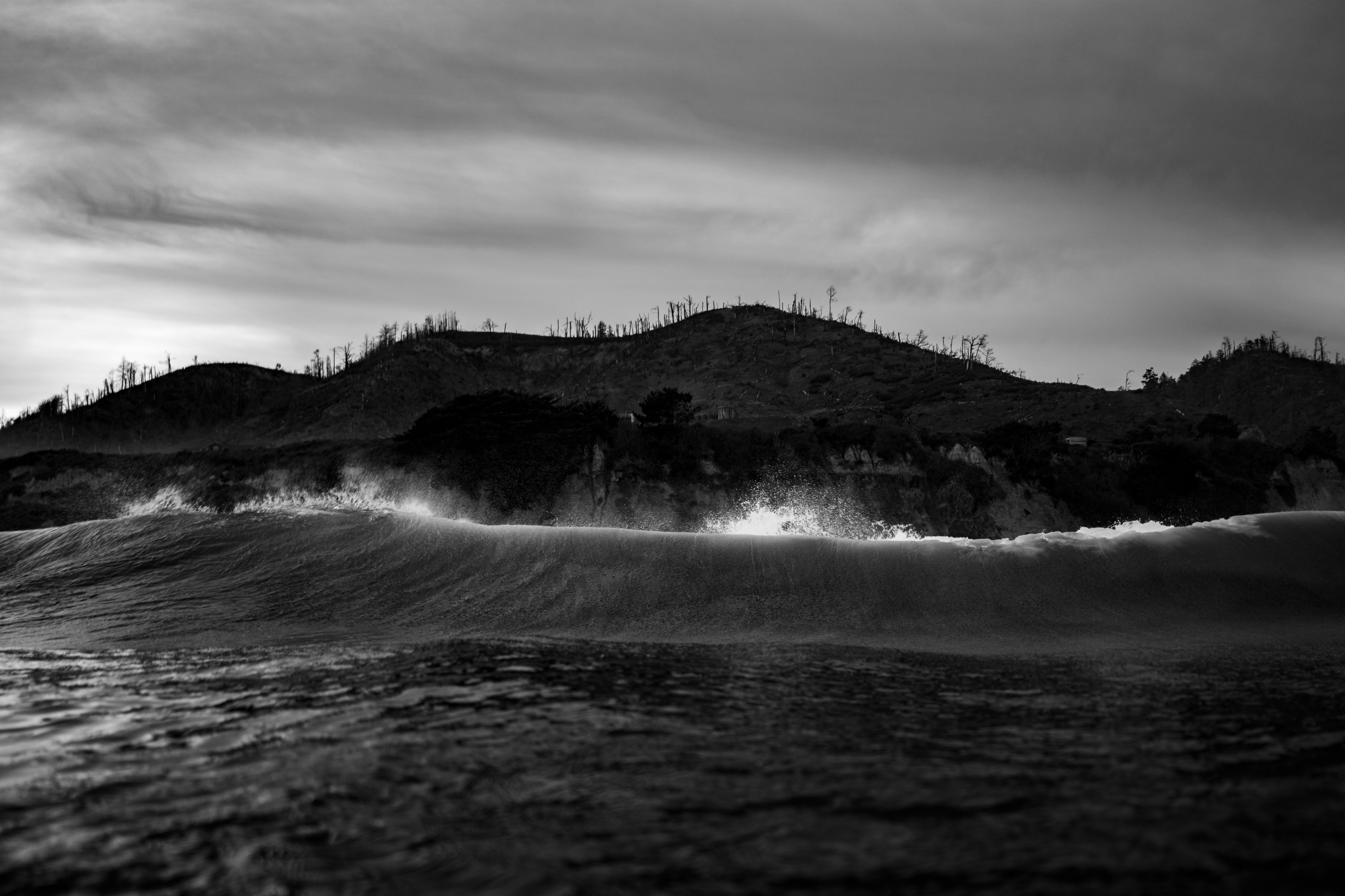 Whispers of the Ocean's Edge