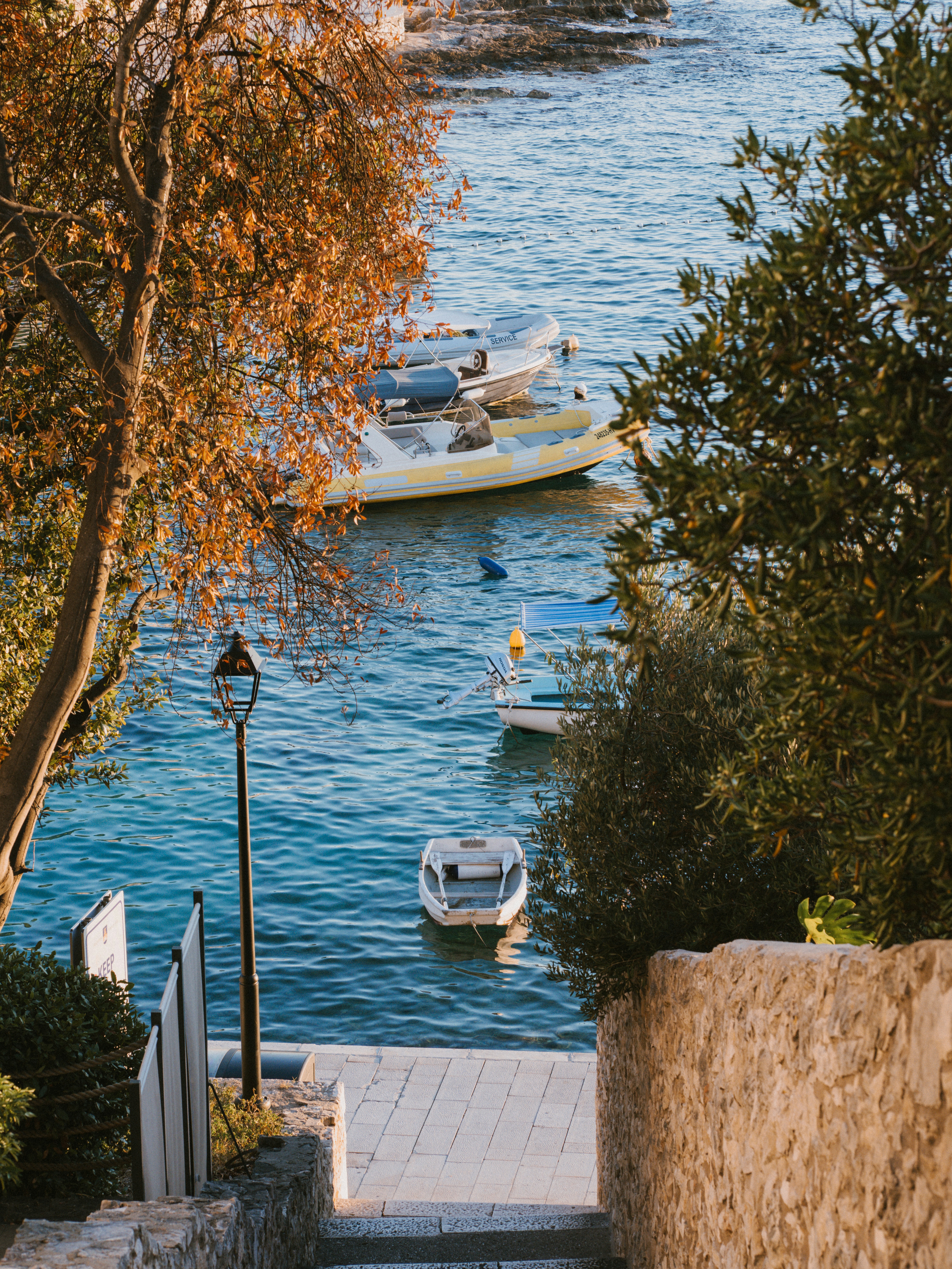 Tranquil Harbor Escape