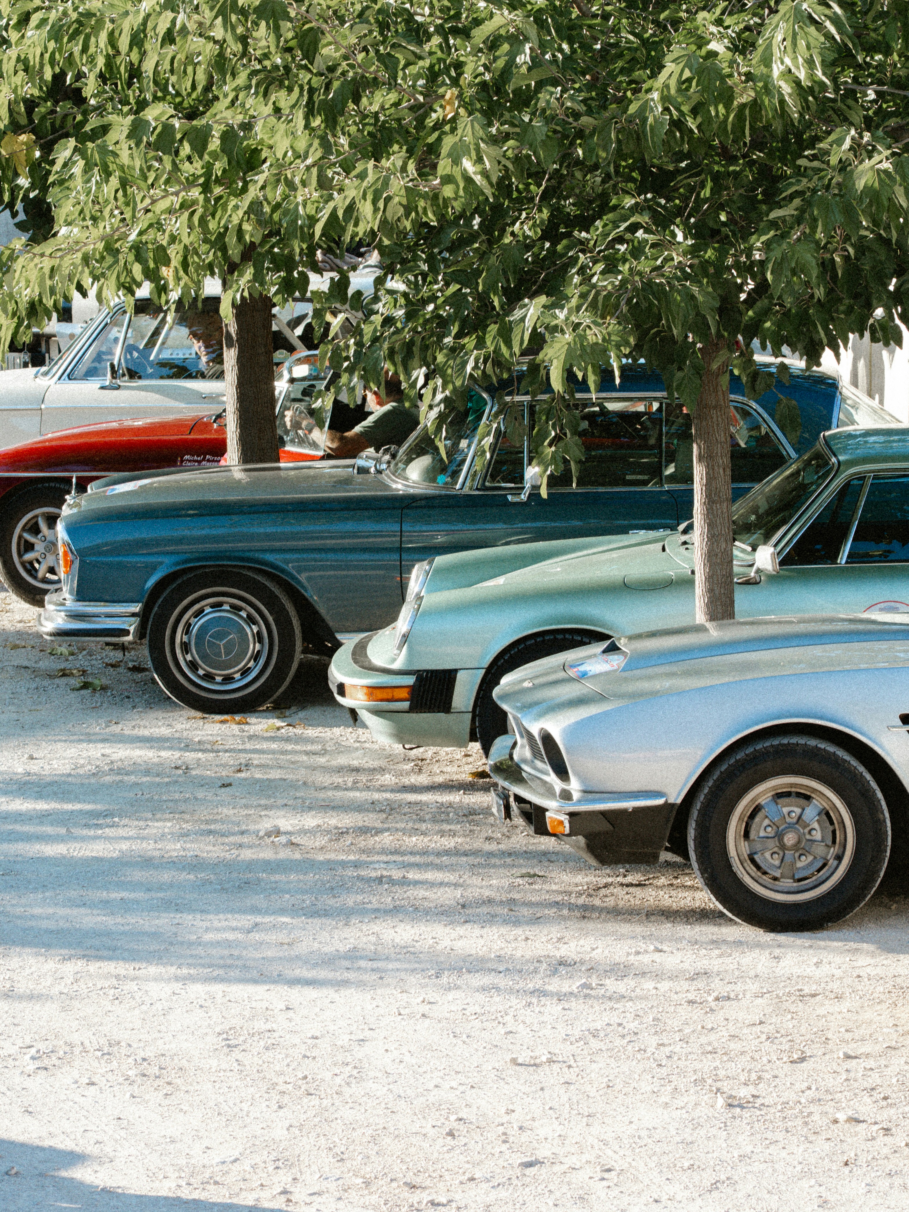 Classic Car Showcase Under the Canopy