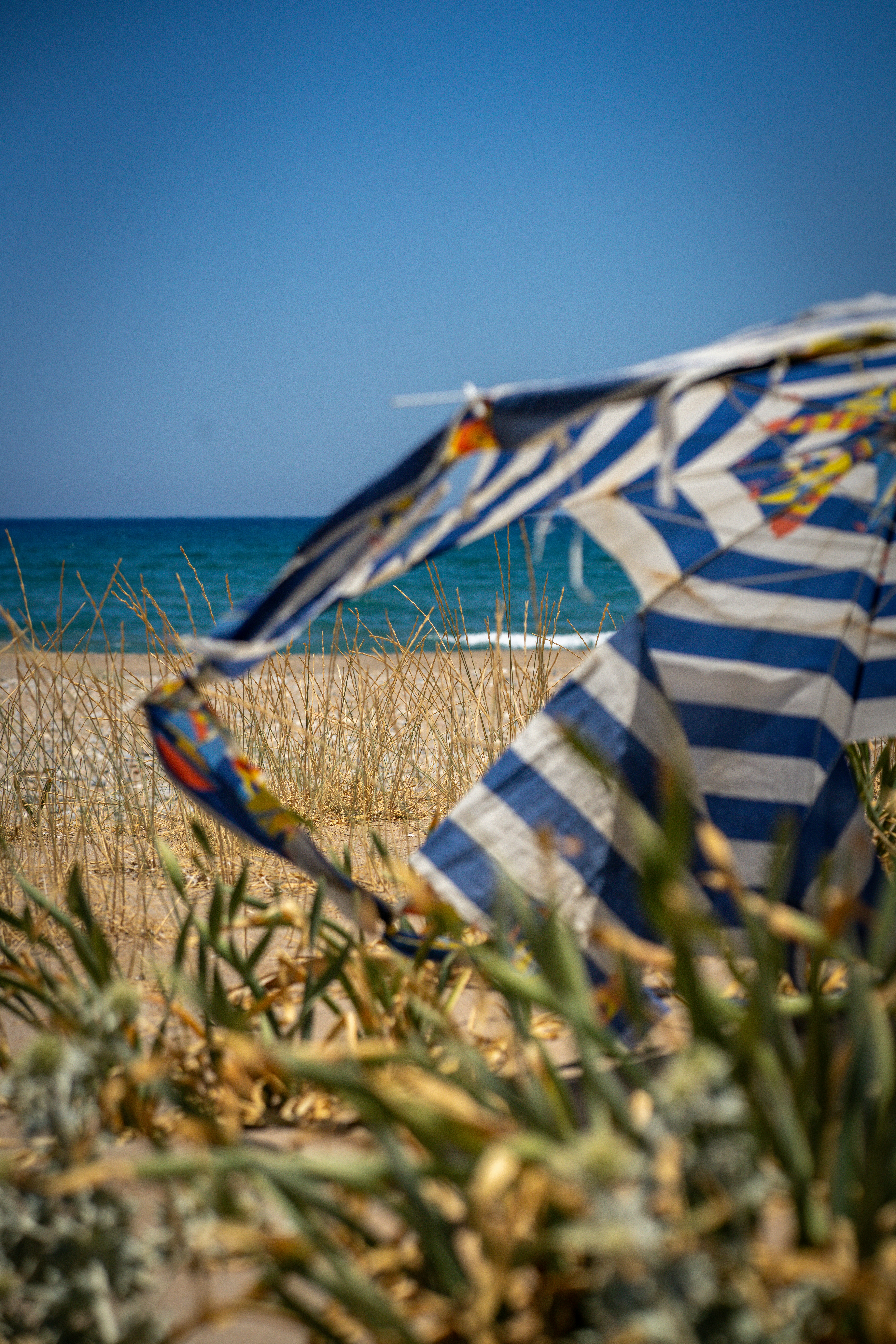 A serene beach scene captures a blue and white striped beach umbrella nestled among sandy dunes and coastal vegetation, with a tranquil turquoise ocean stretching to the horizon under a clear blue sky. The image evokes a sense of peaceful summer relaxation, focusing on the details of the shoreline landscape. | Striped beach umbrella on a sunny day.