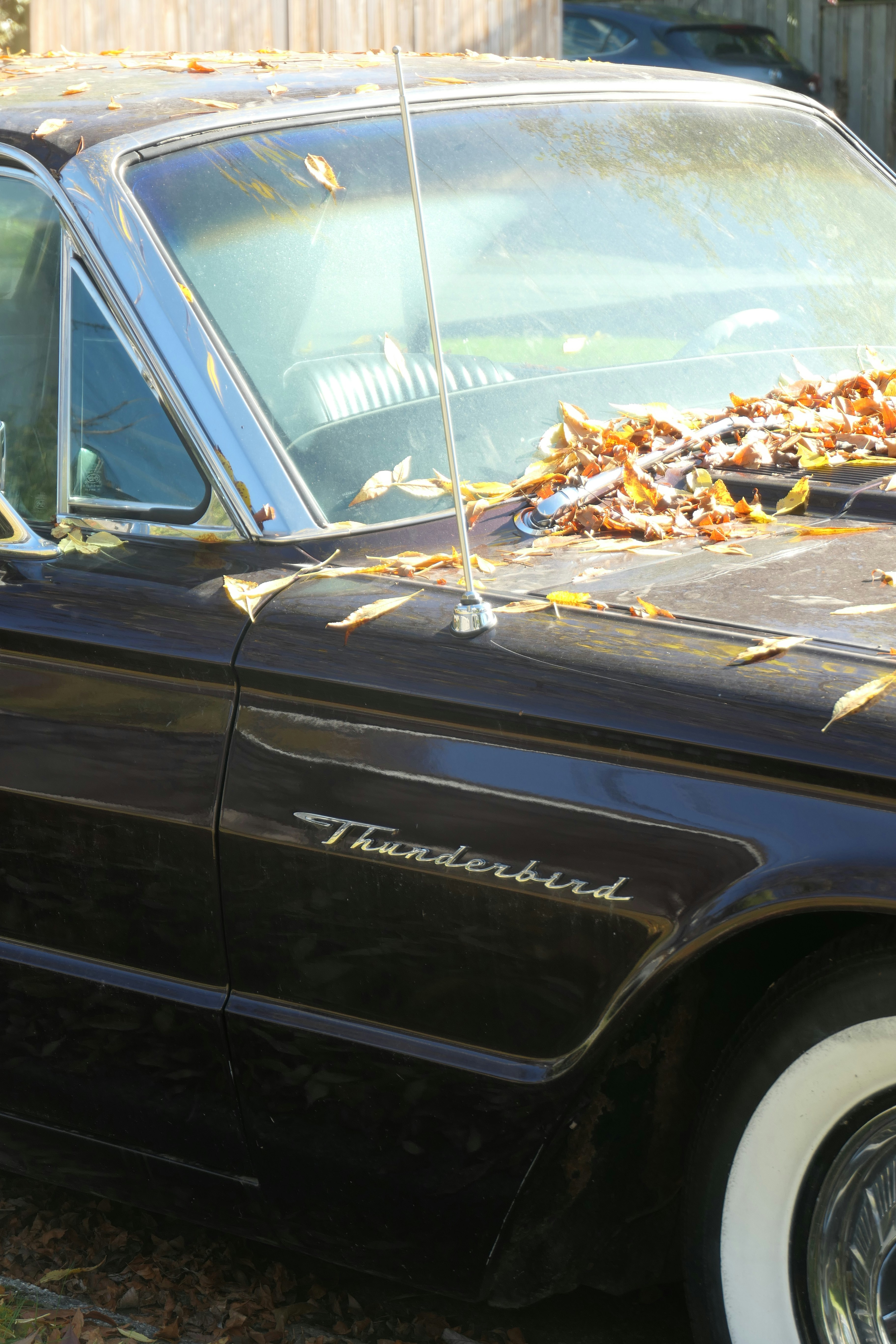 Classic Thunderbird adorned with fallen leaves, showcasing the passage of time and changing seasons.