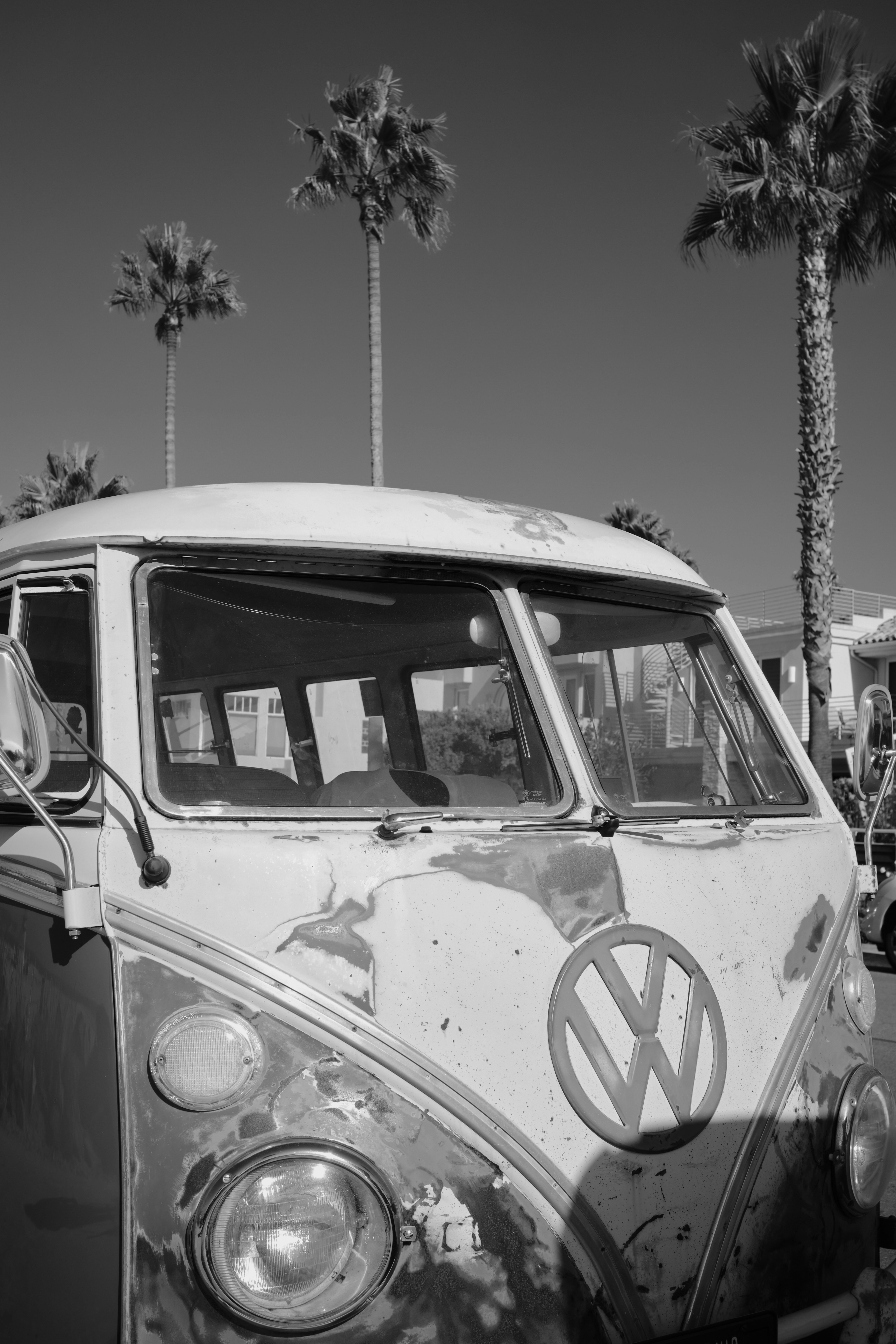 Vintage Charm Under Palm Shadows