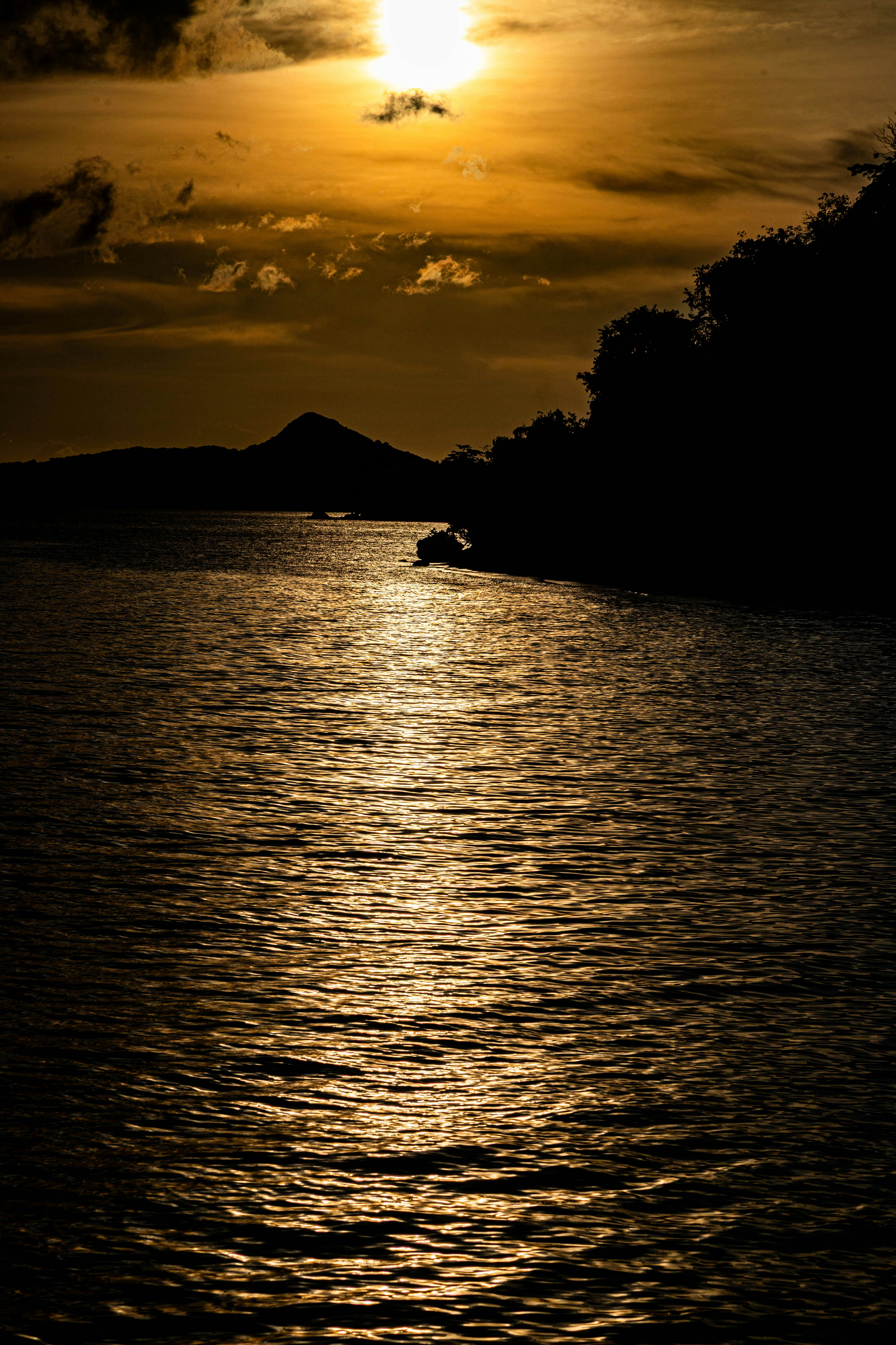 Golden Reflections at Dusk