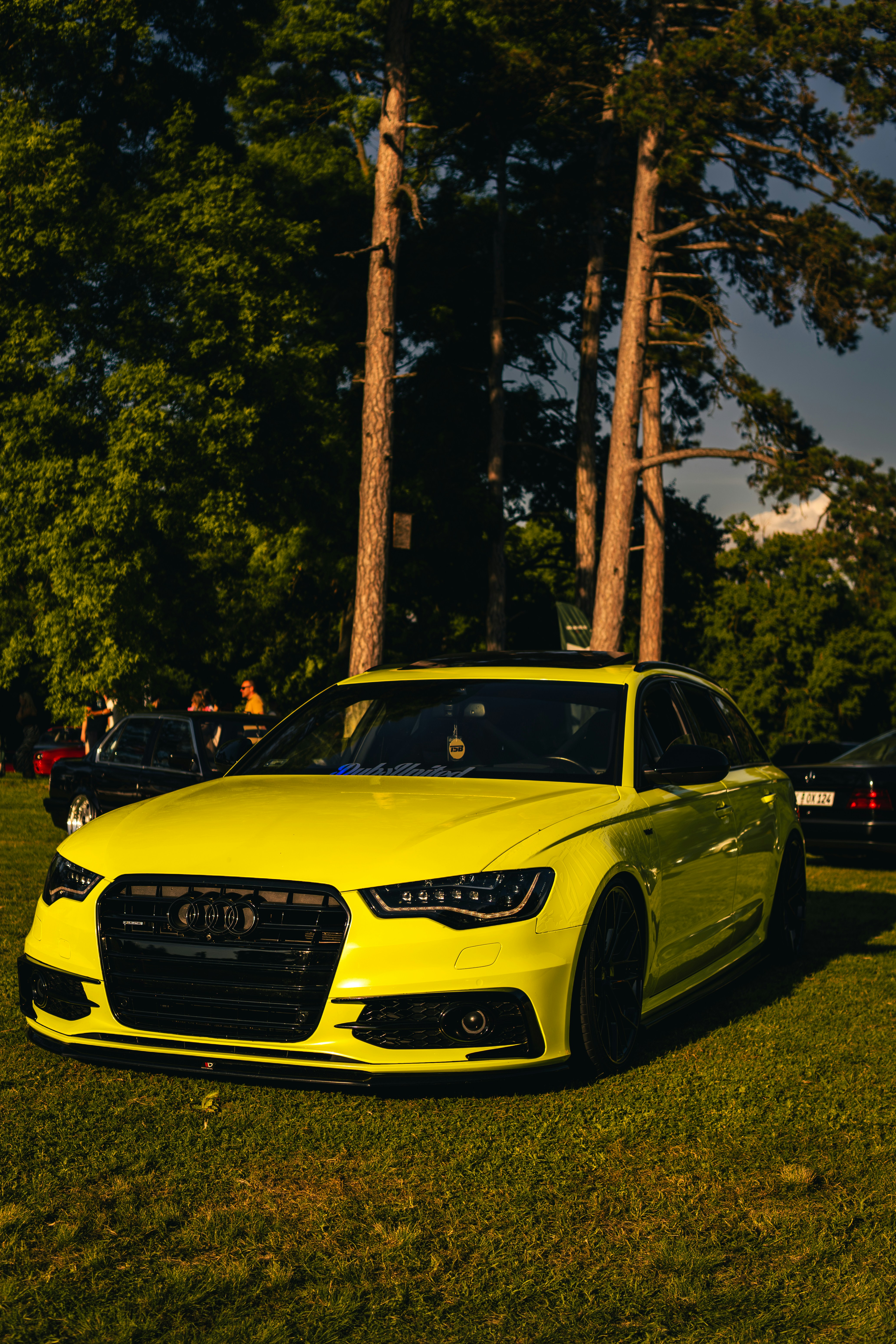 Vibrant Velocity: A Neon Audi in Nature