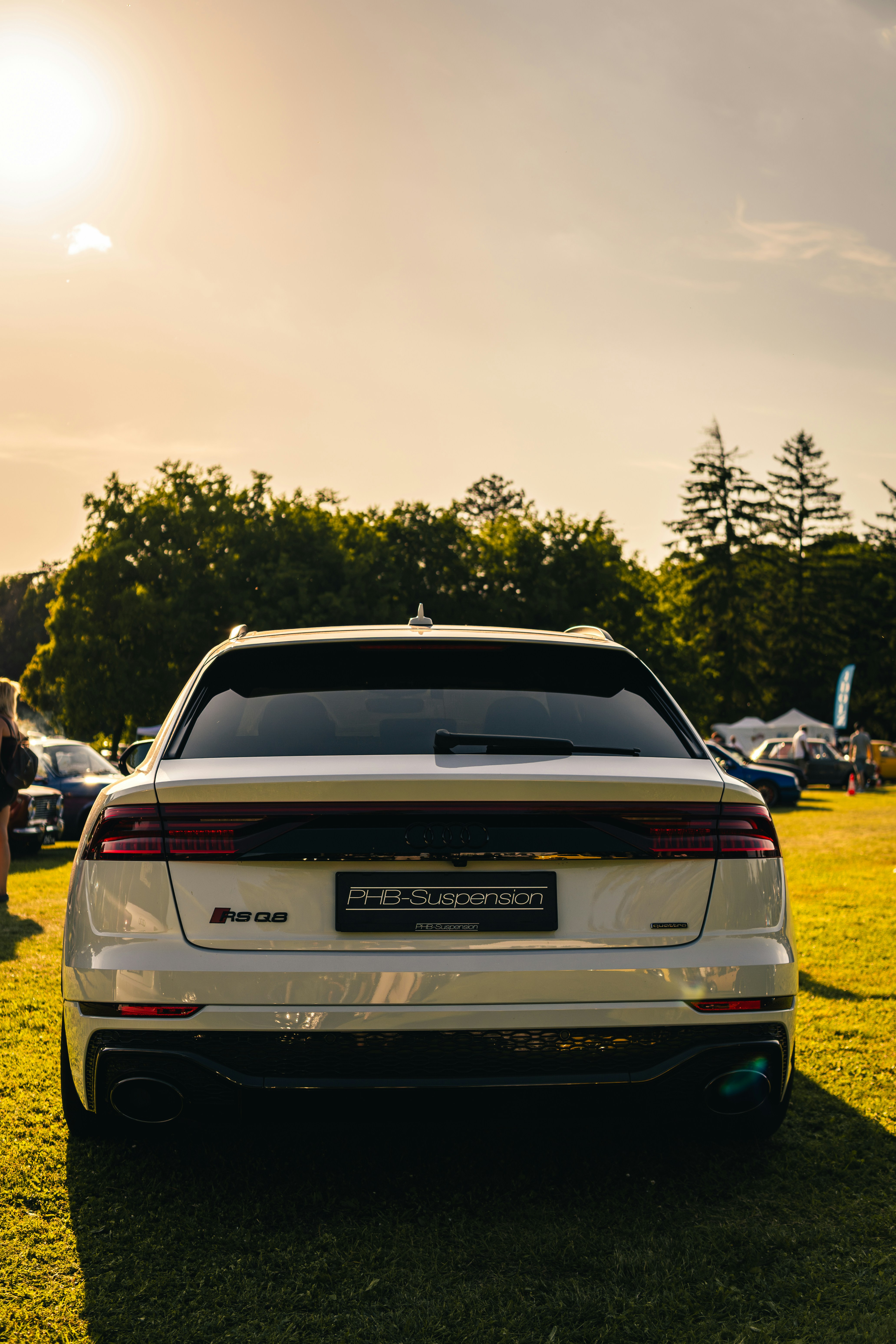 Elegance in Motion: The Audi RS Q8 Unveiled