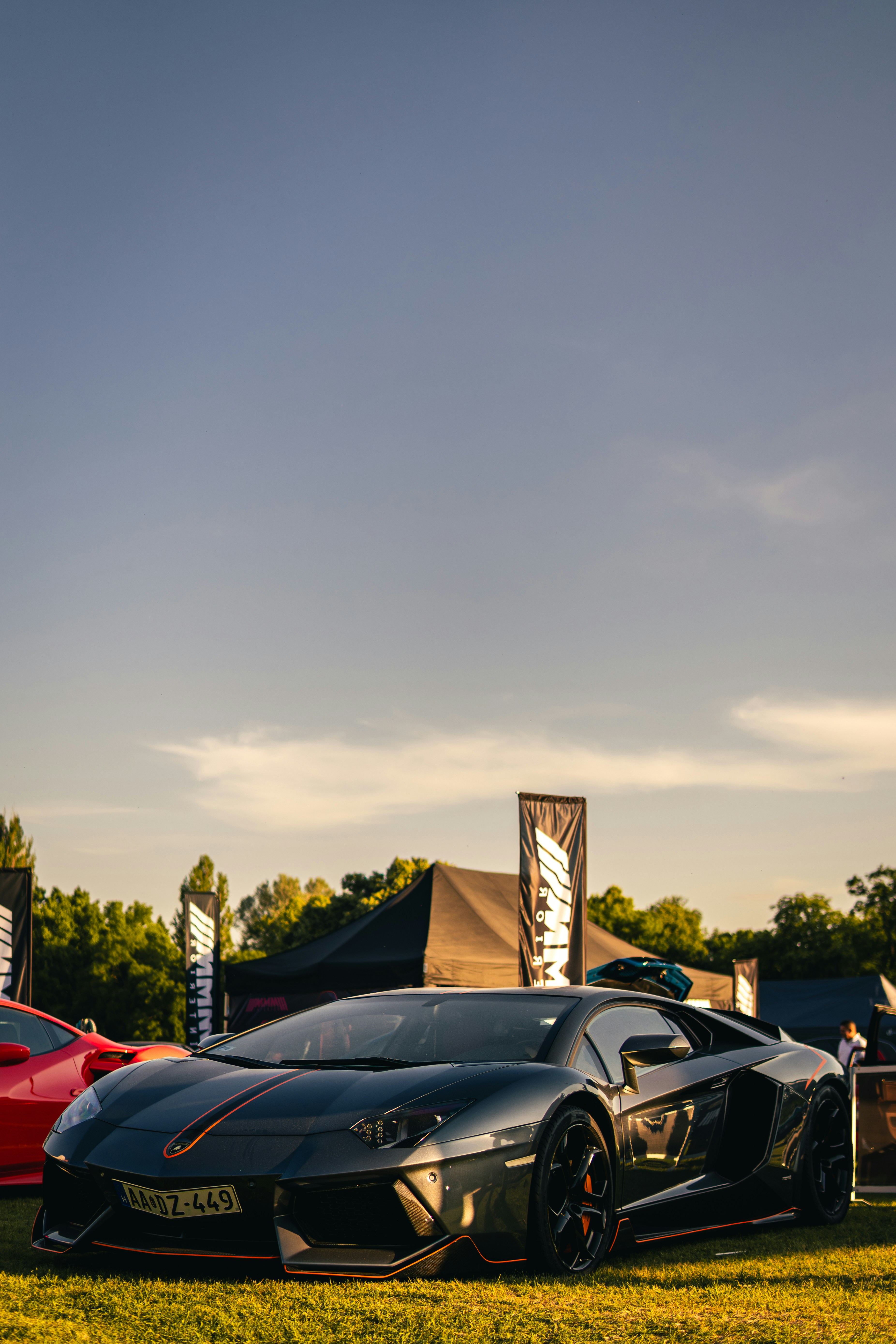 Midnight Racer: A Glimpse into Automotive Elegance