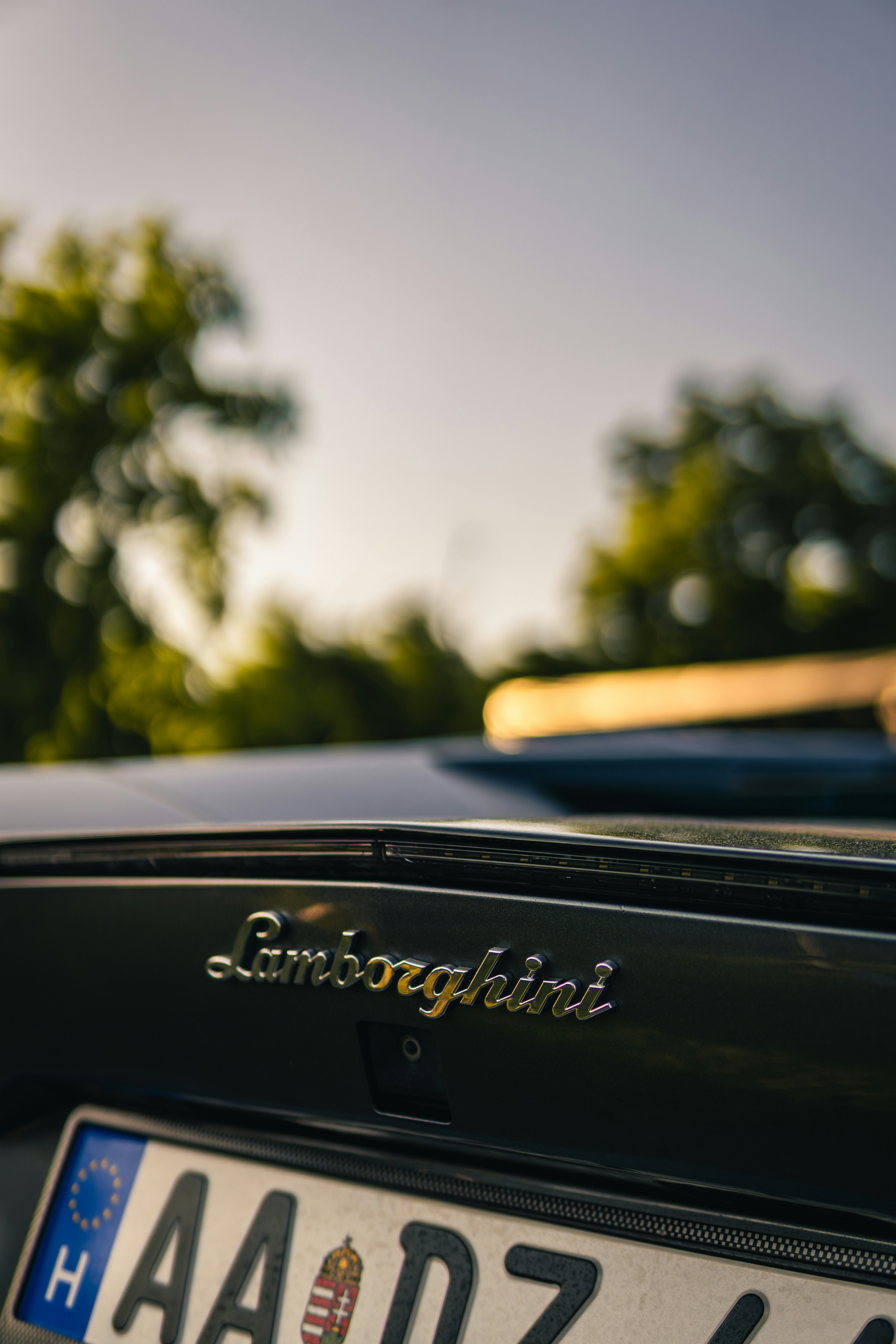 Rear Badge Reverie: A Lamborghini Sunset from the Trunk