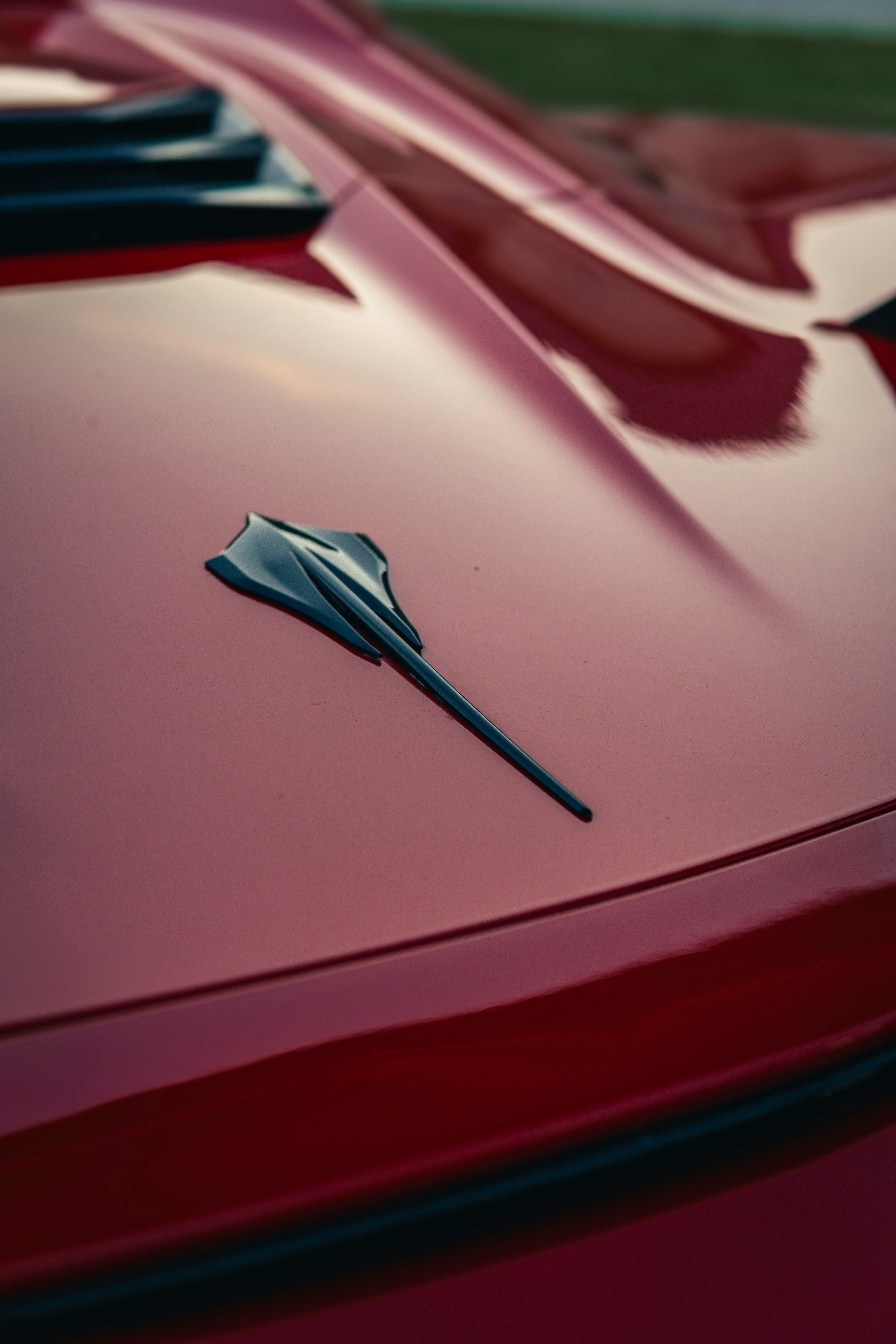 Crimson Contour: Close-Up on a Classic Hood Emblem