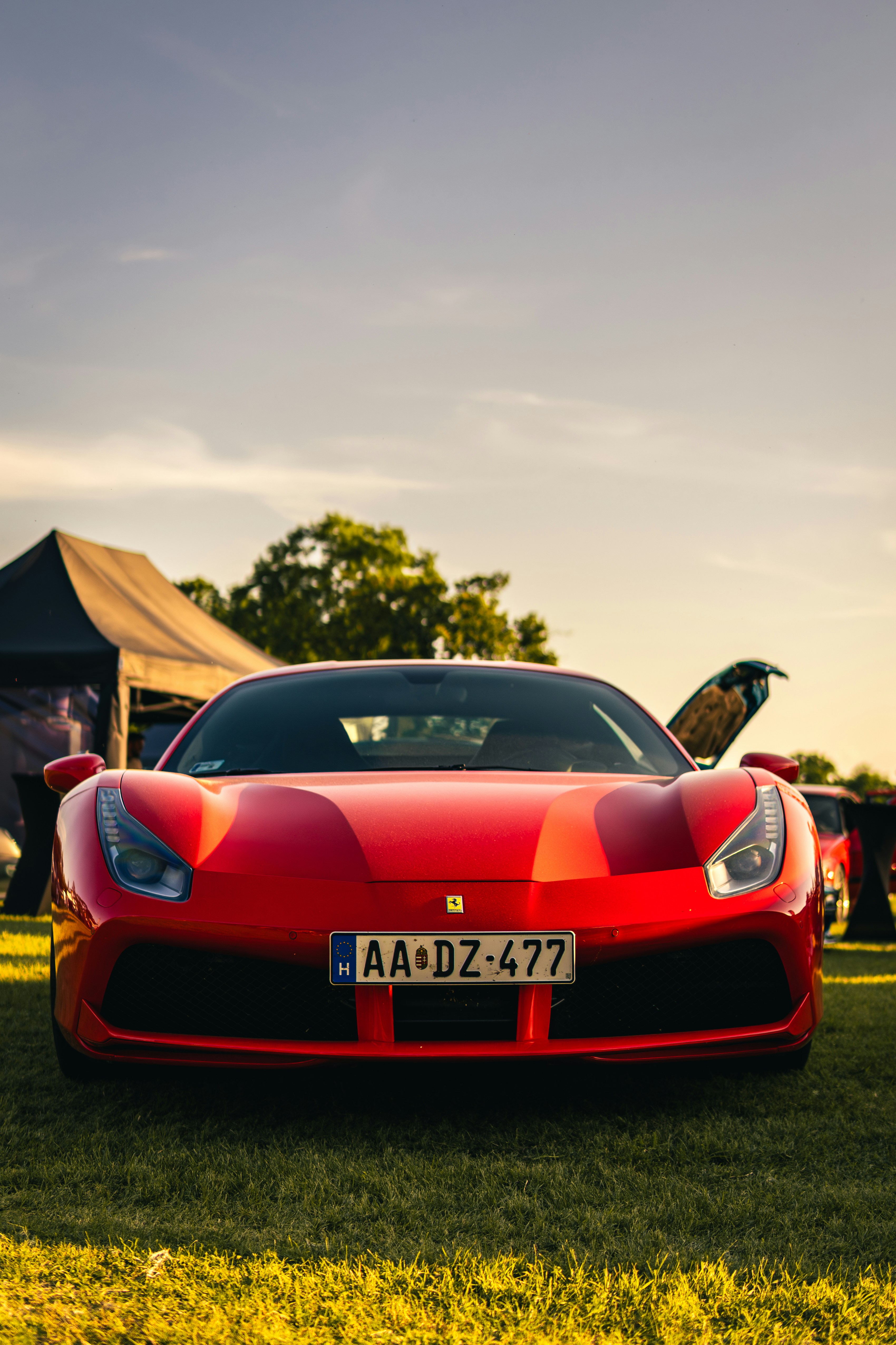 Red ferrari sports car parked on grass