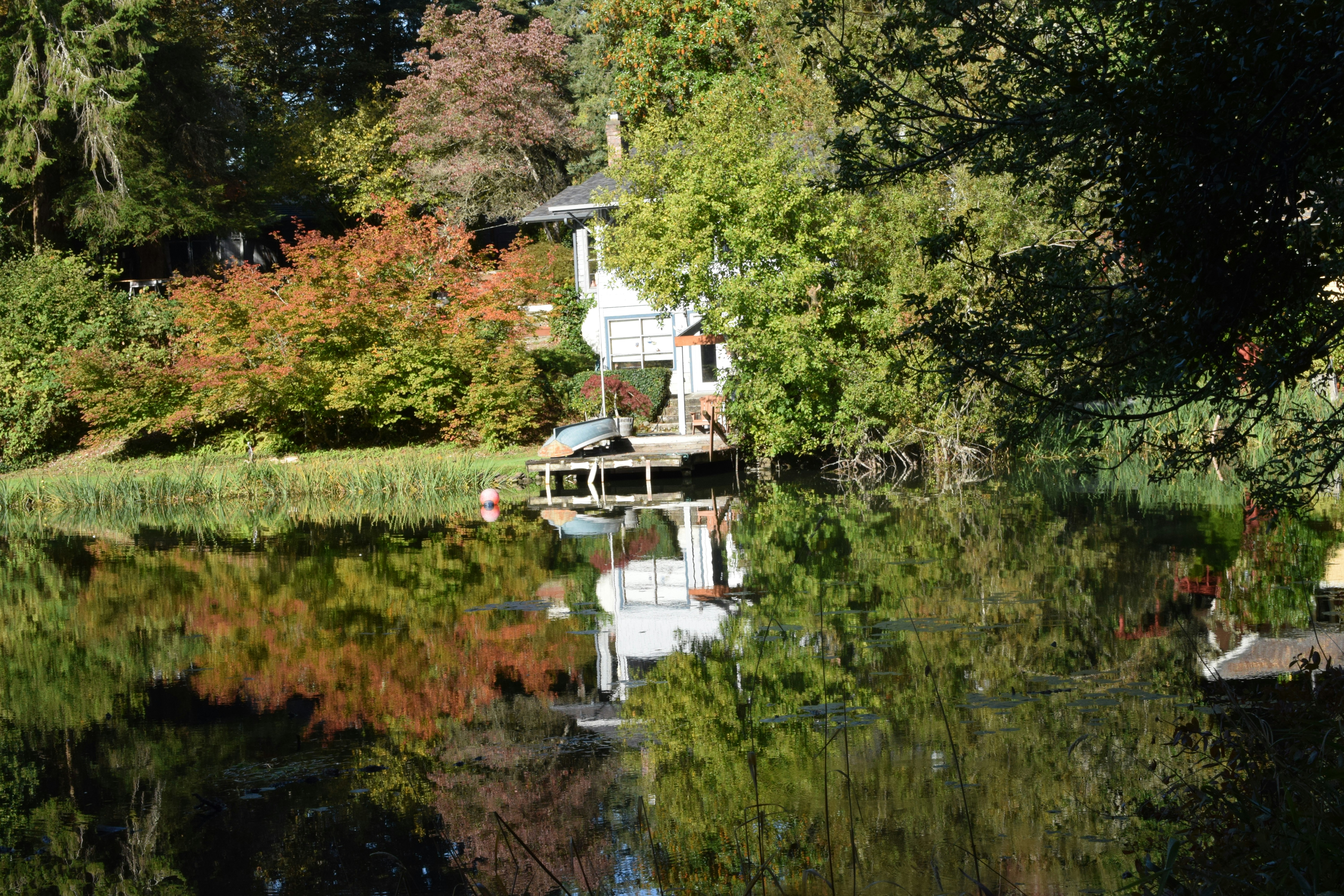 House reflected in calm water surrounded by trees.