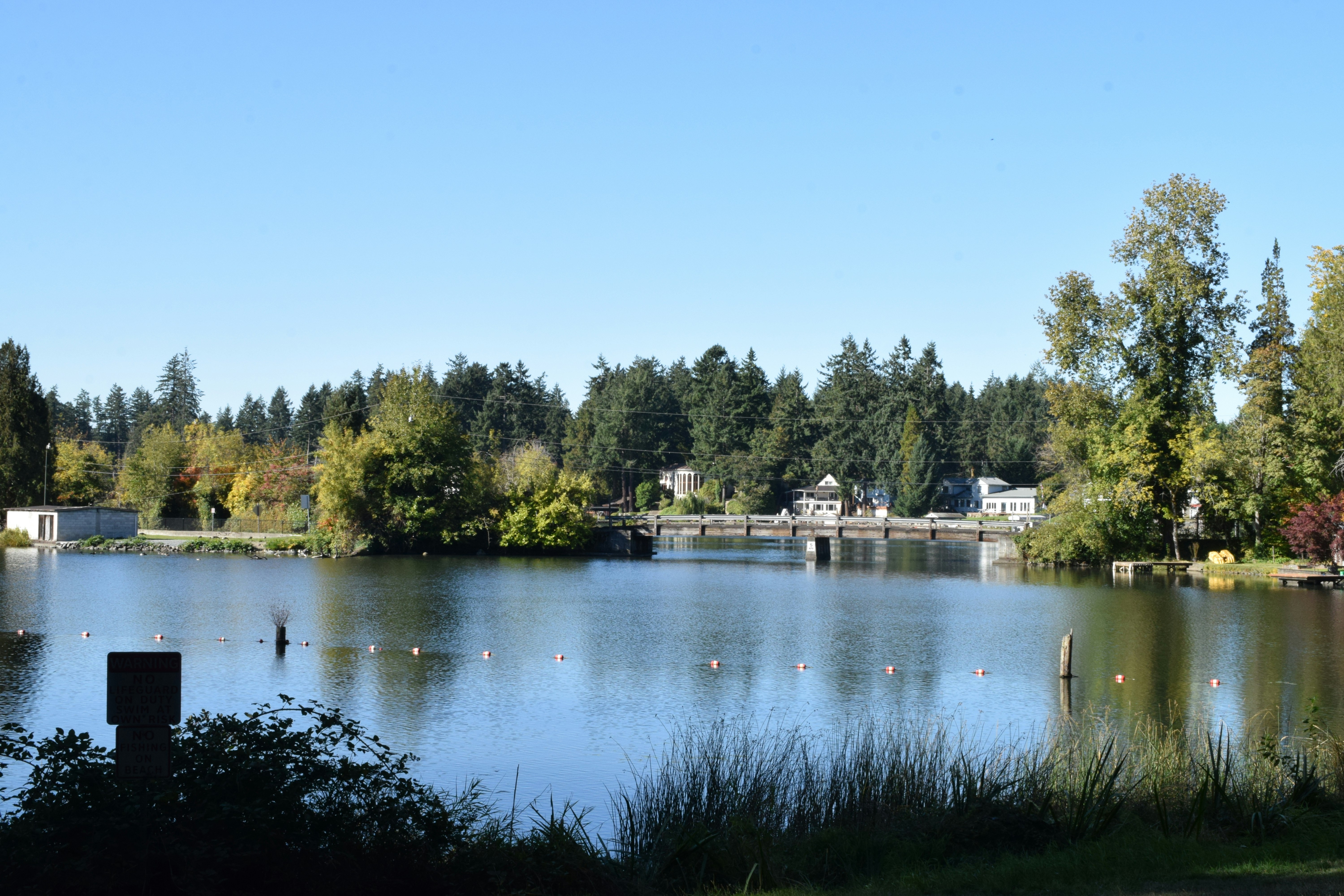 Calm lake reflecting autumn foliage with a quaint community visible in the background. The scene captures the tranquility of nature.