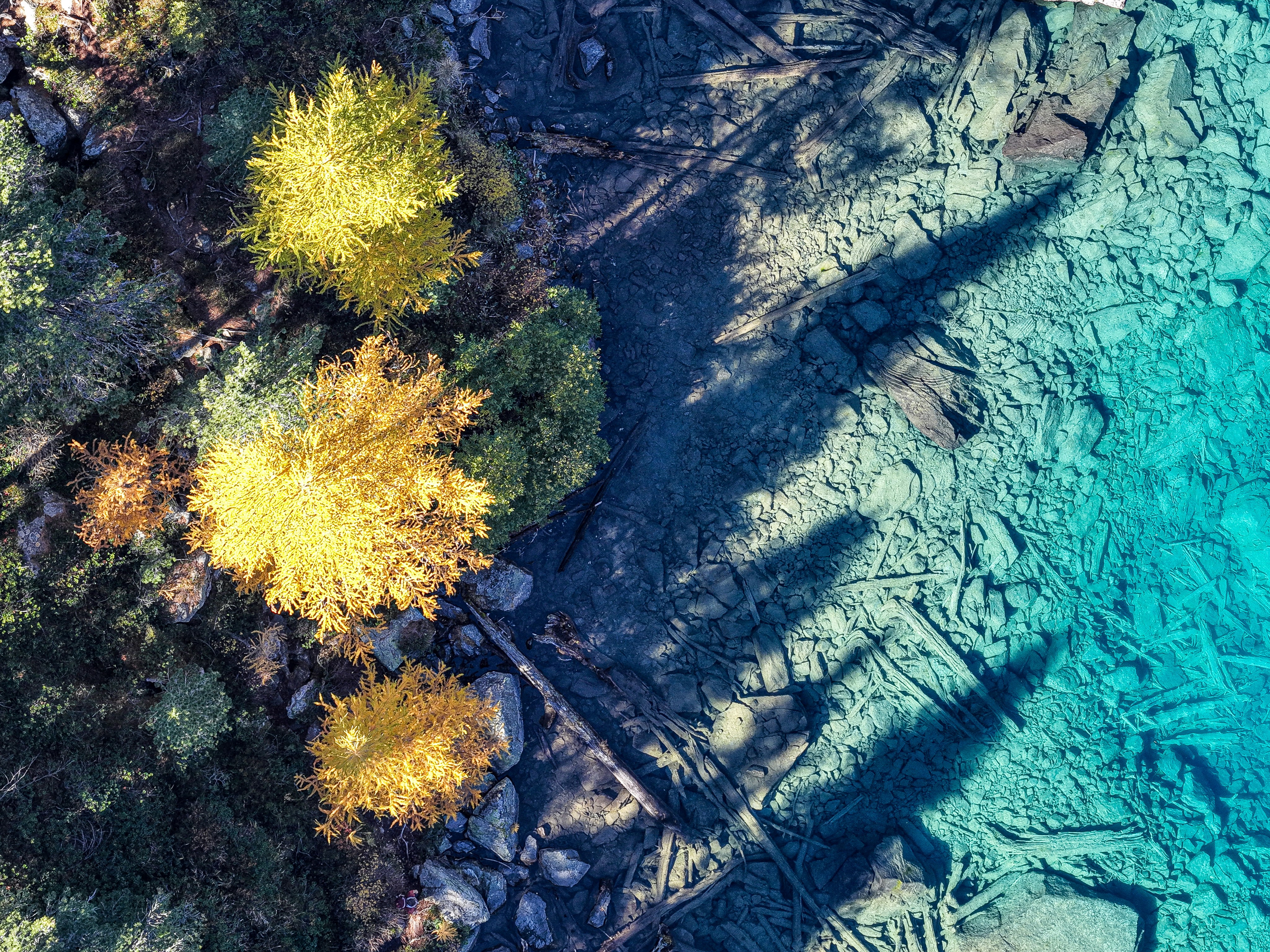 Golden Canopy Over Crystal Waters