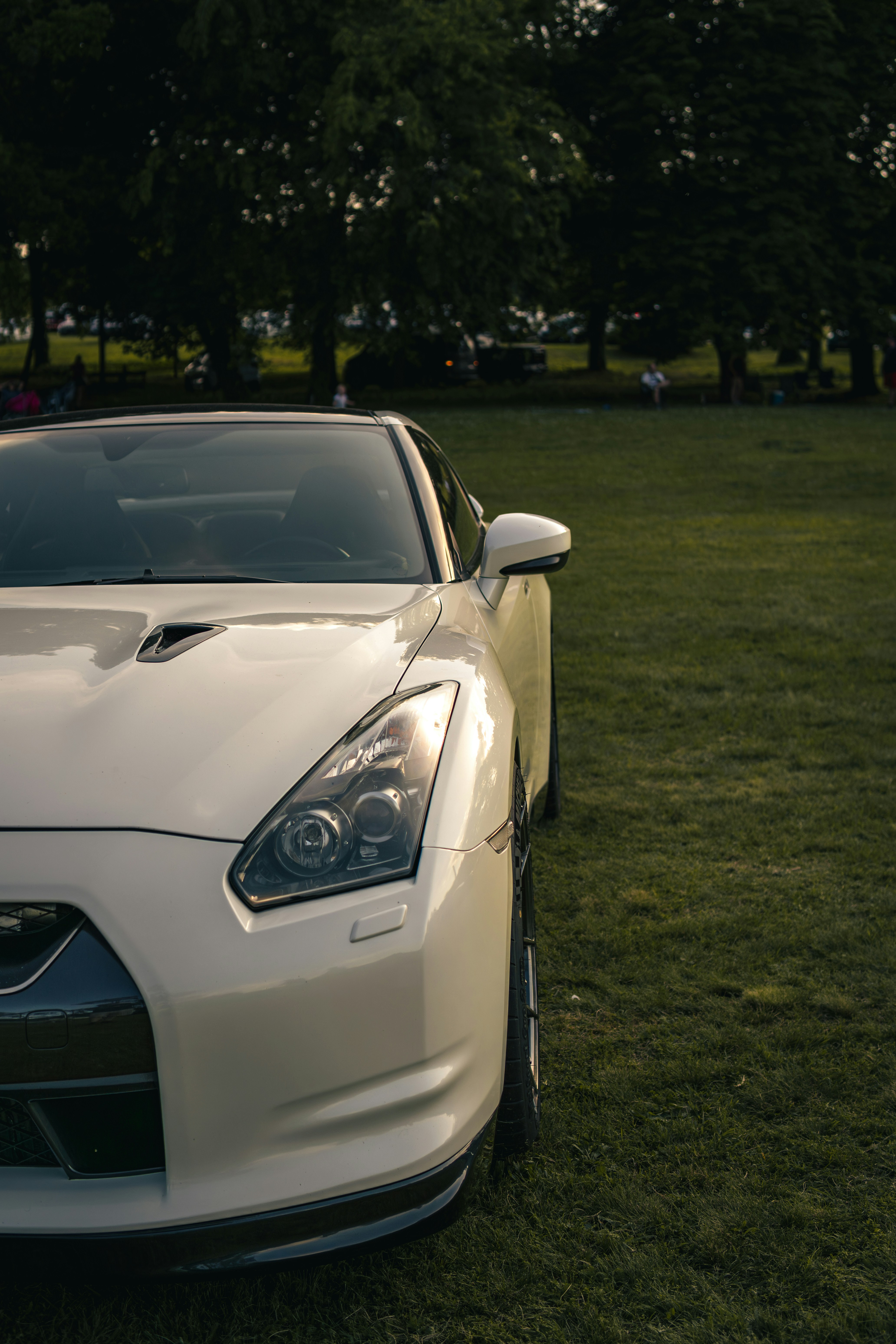 Elegance on Wheels: The Art of Automotive Design