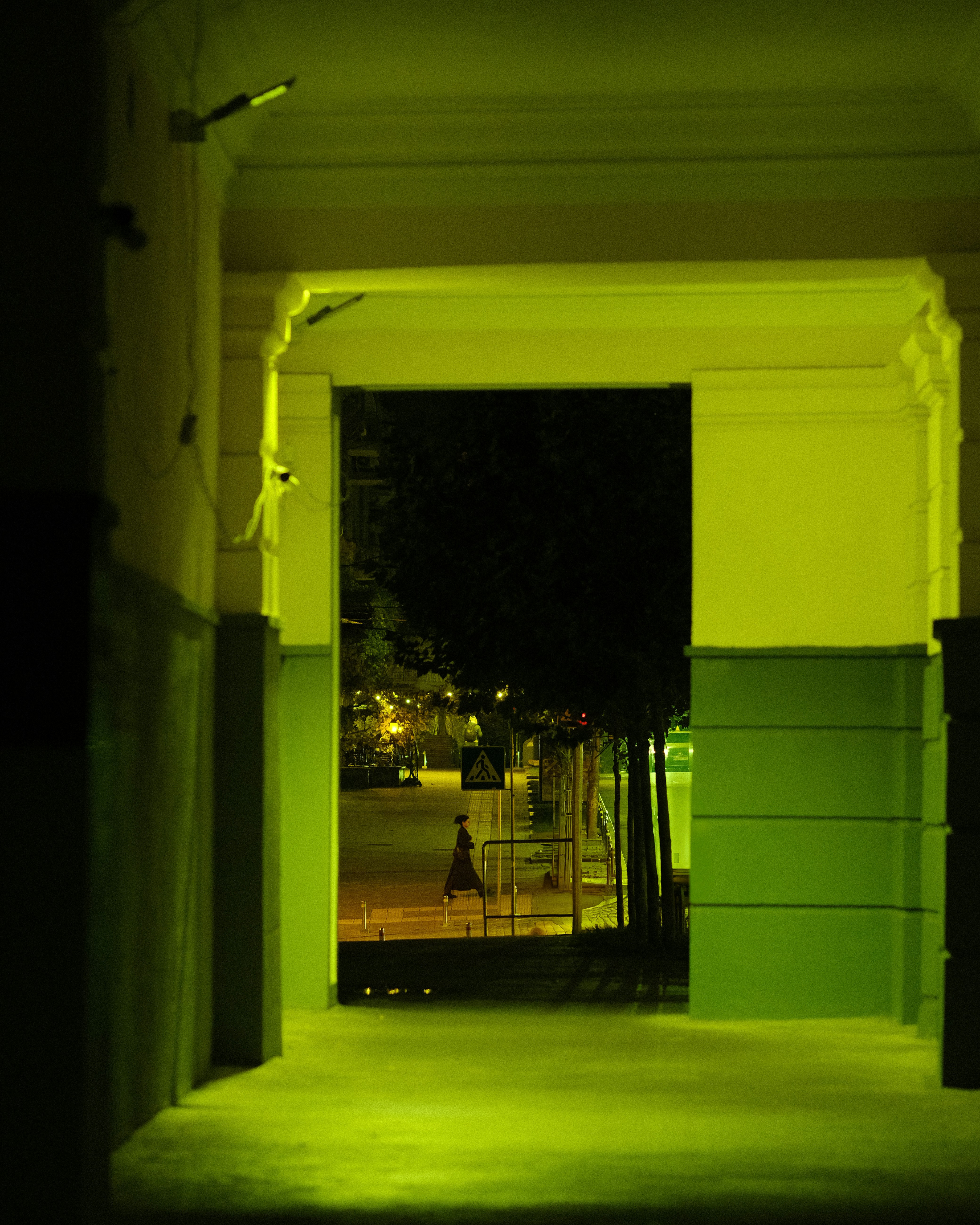 Emerald Passageway: A Glimpse into the Night