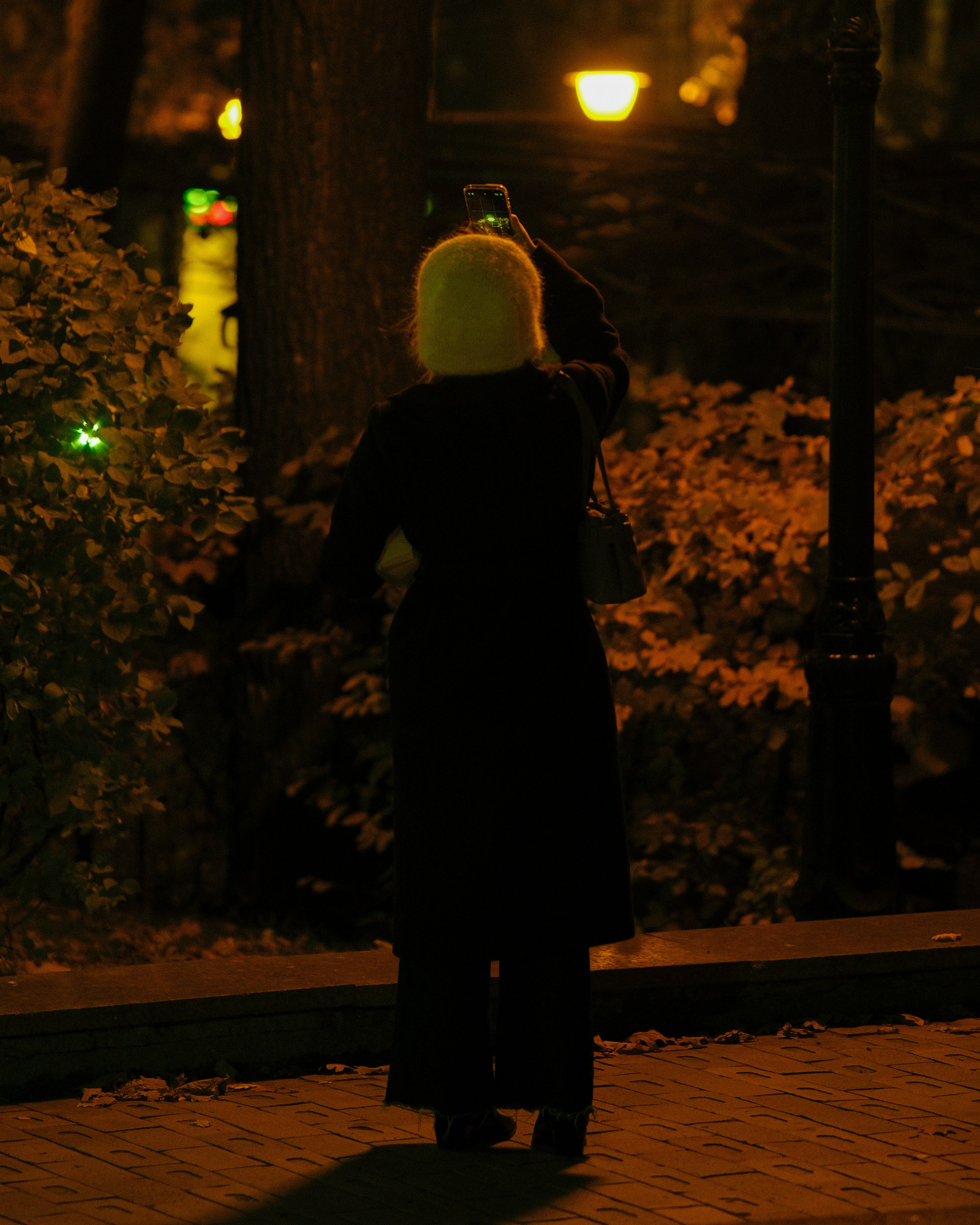 Whispers of the Night: A Serene Encounter