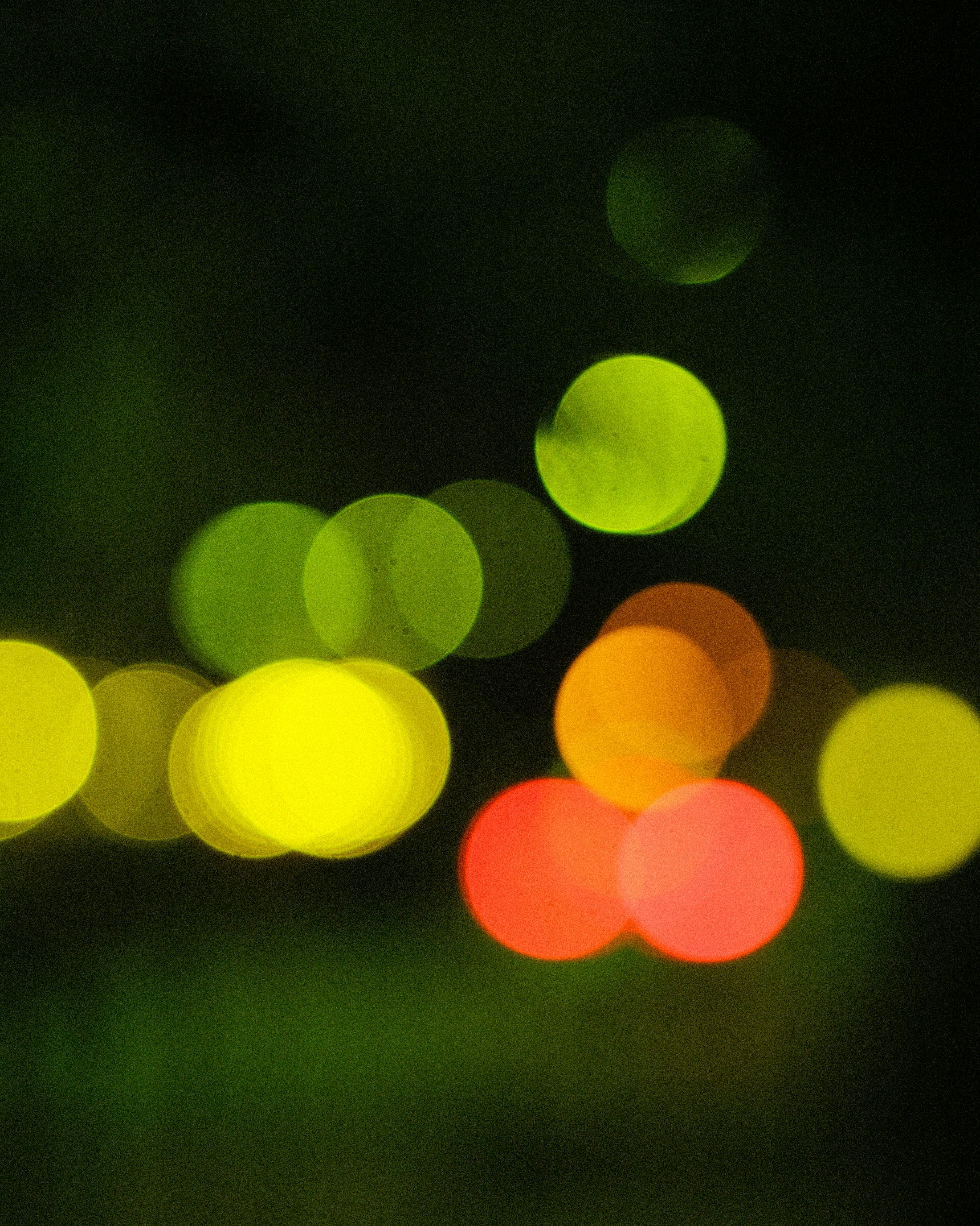 A Symphony of Light and Color