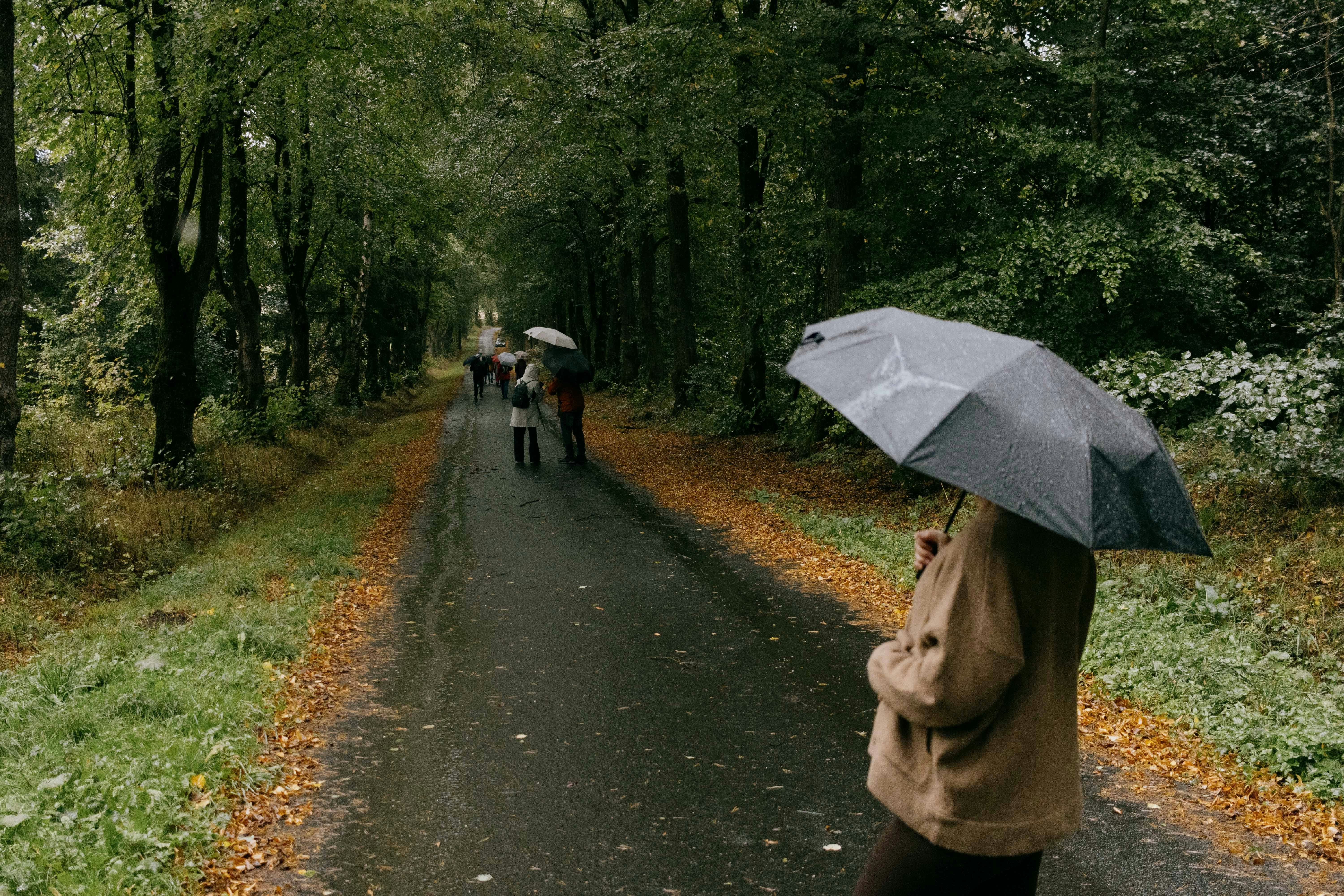 People with umbrellas walking on a wet path in autumn.