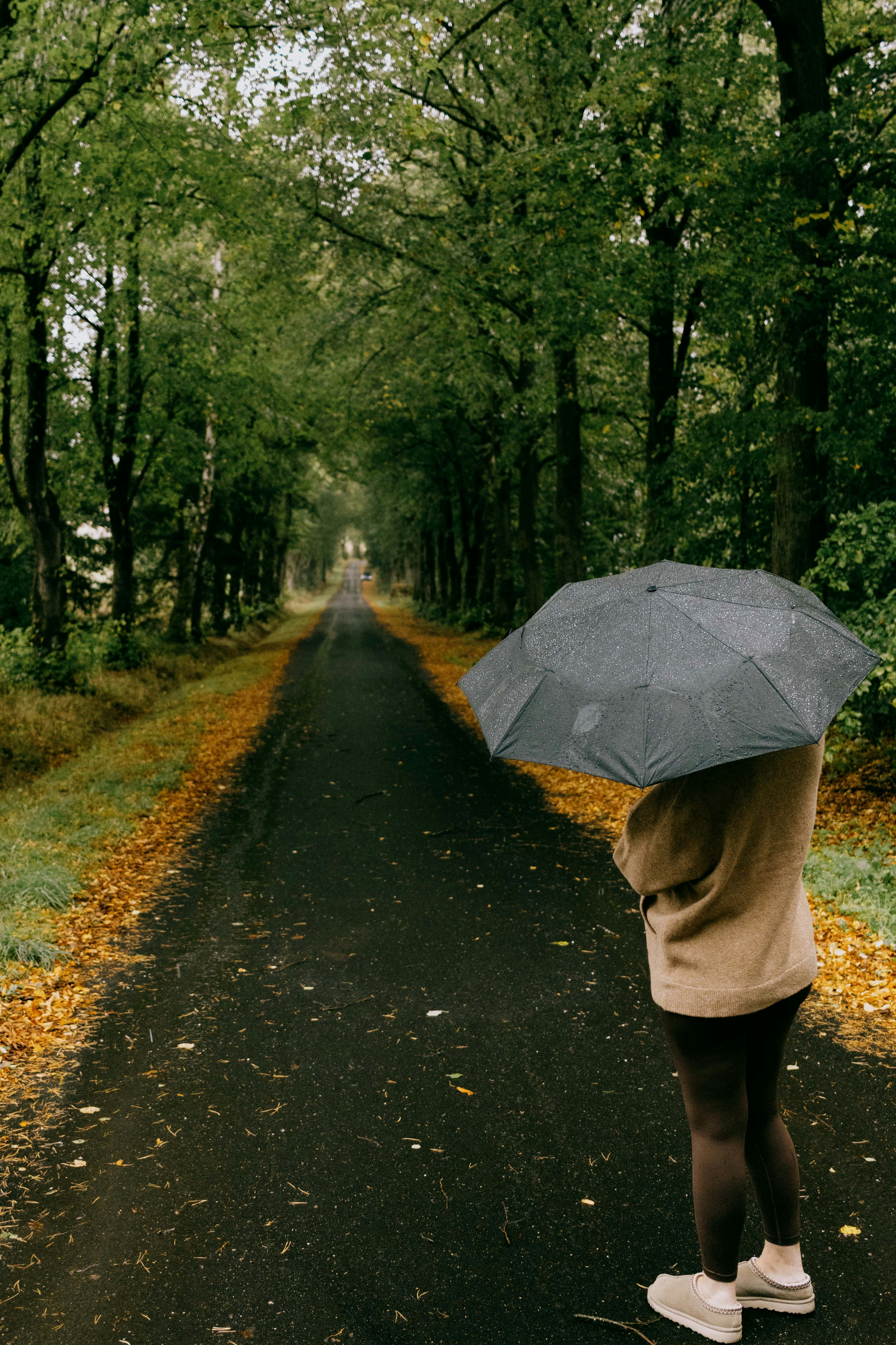 Person with umbrella on a wet path in autumn.