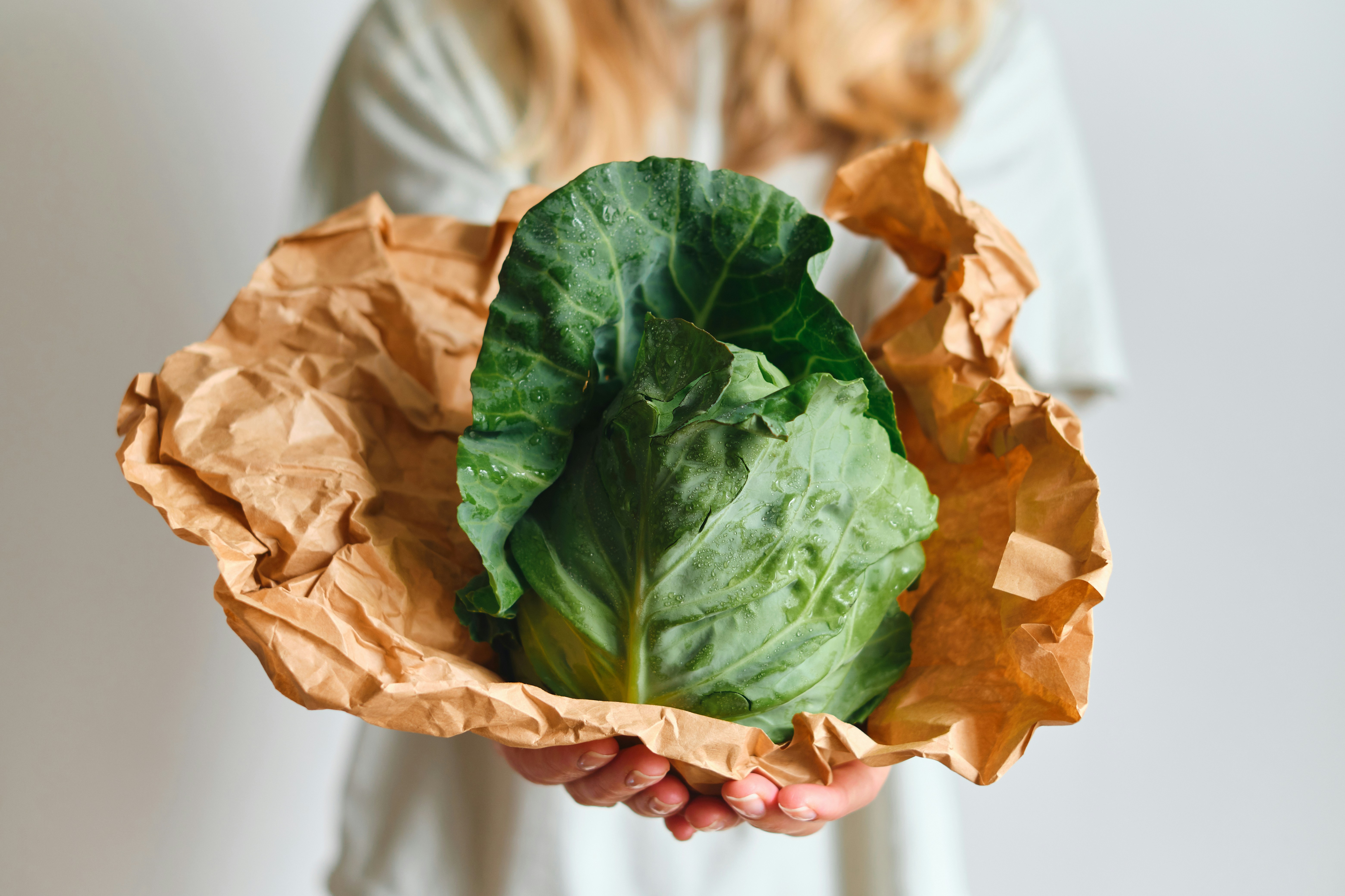 Harvest's Embrace: The Green Heart of Nature