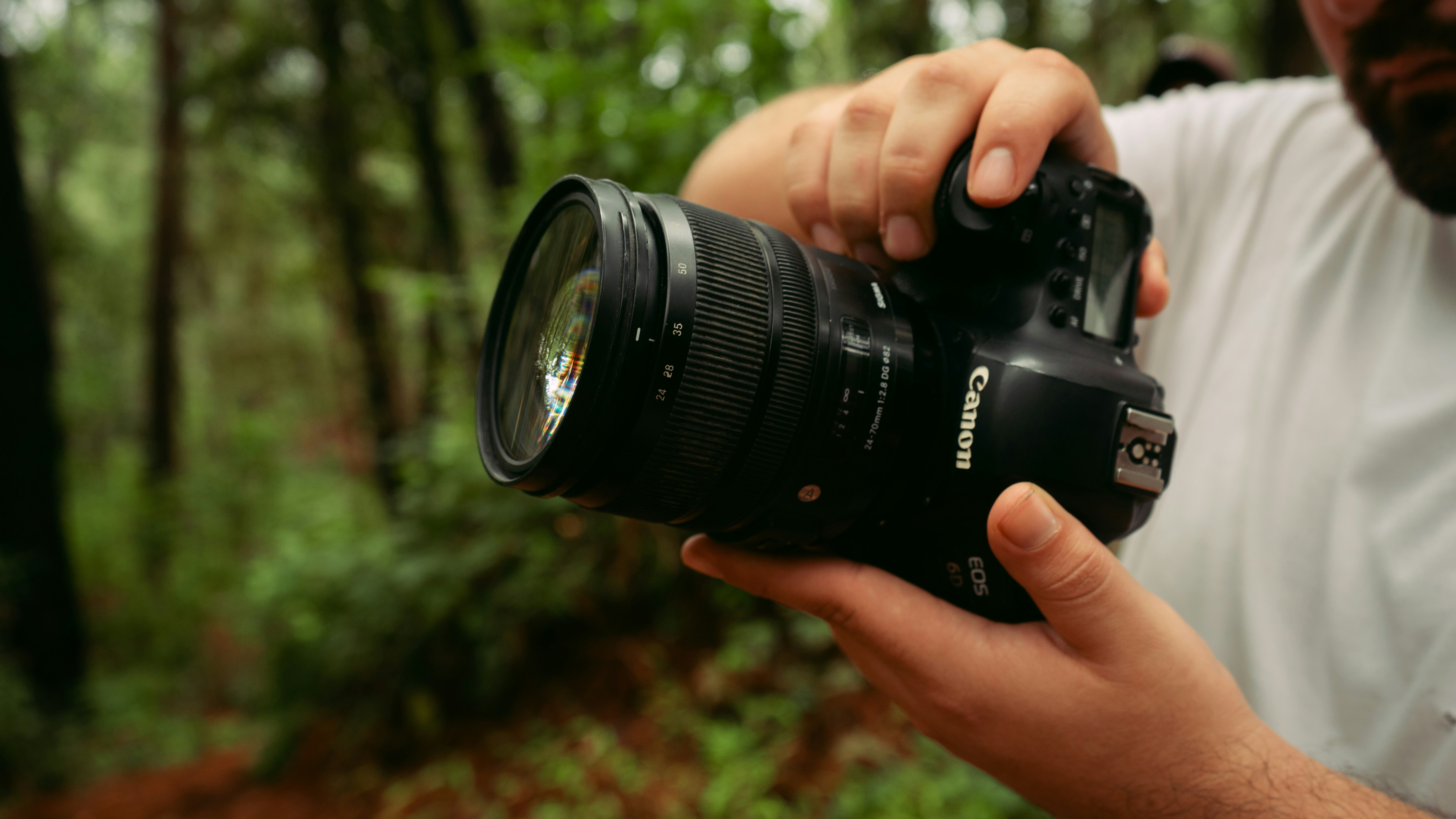 The Art of Precision: Capturing Nature's Details