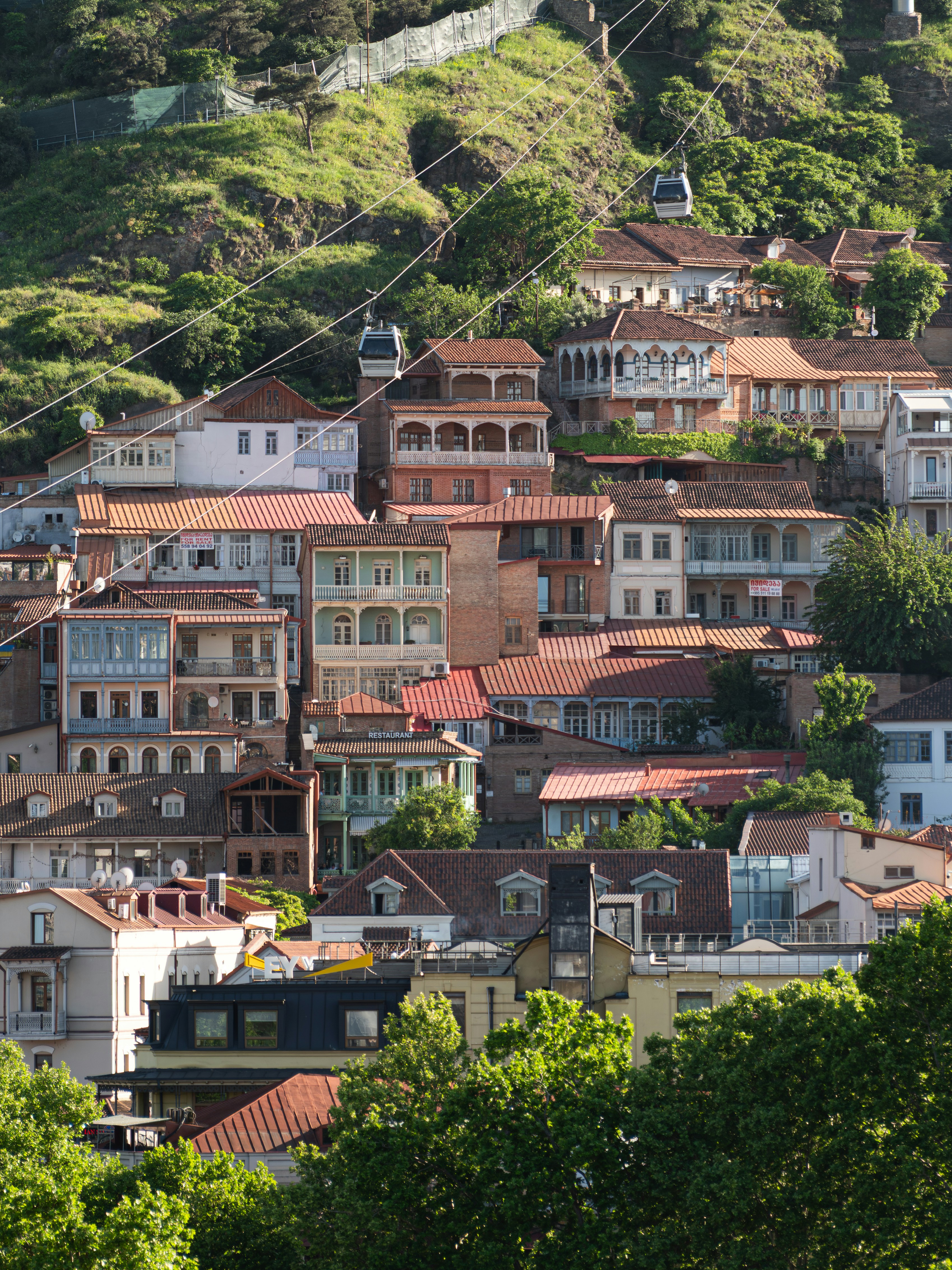 Rooftops and buildings on a green hillside with cable cars.