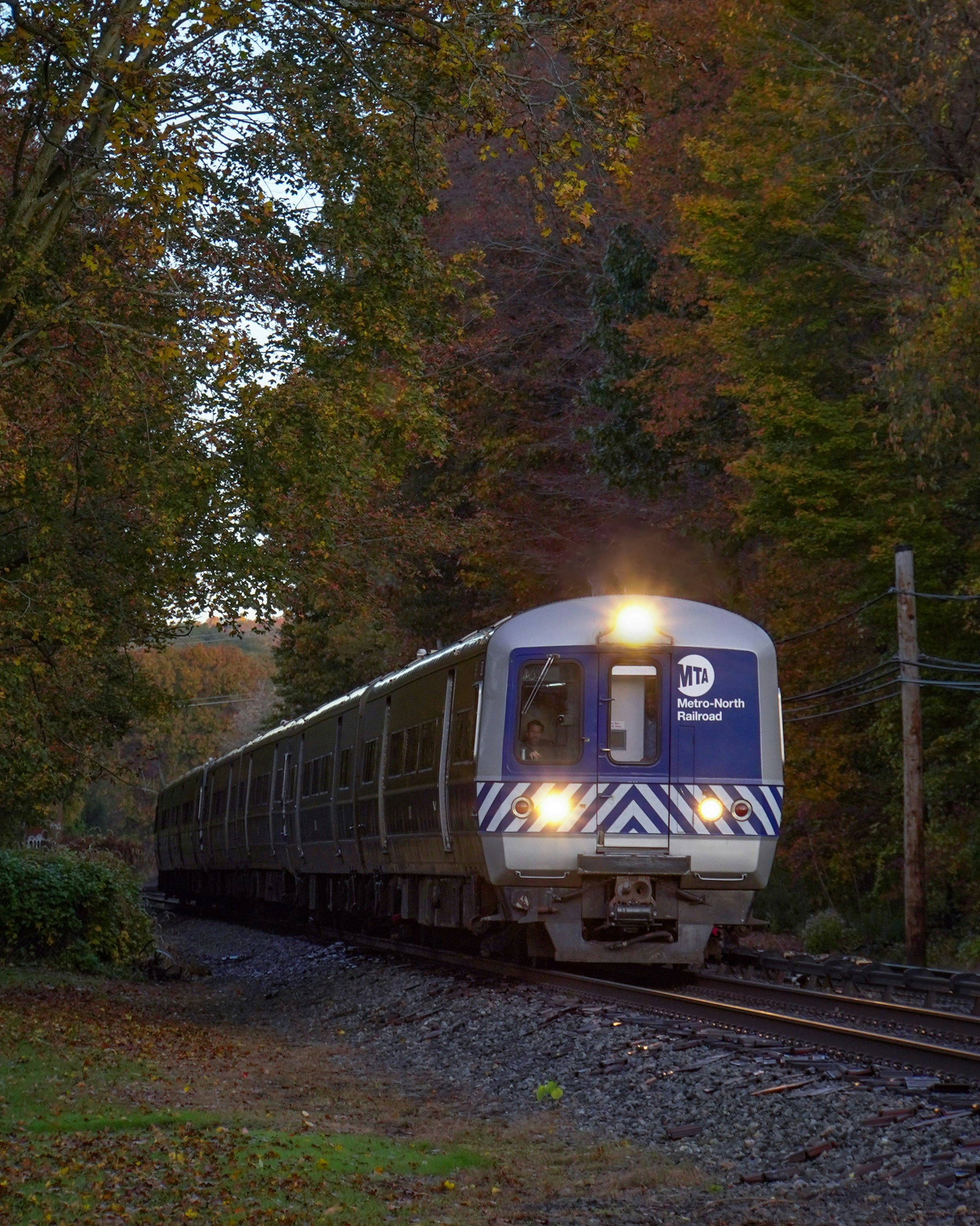 Autumn's Journey: The Metro-North Train in Golden Hues