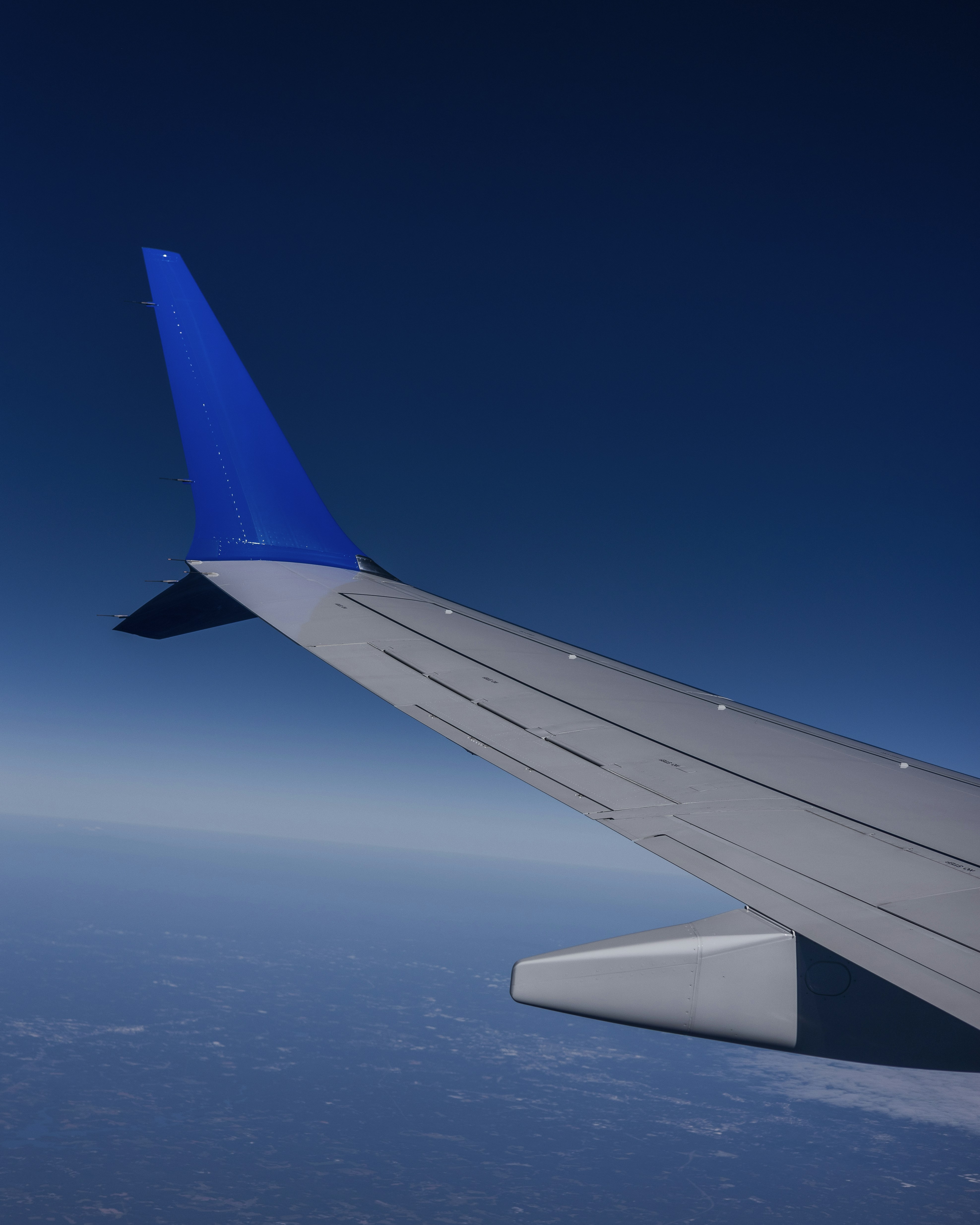 Aerial Perspective: The Winged Journey