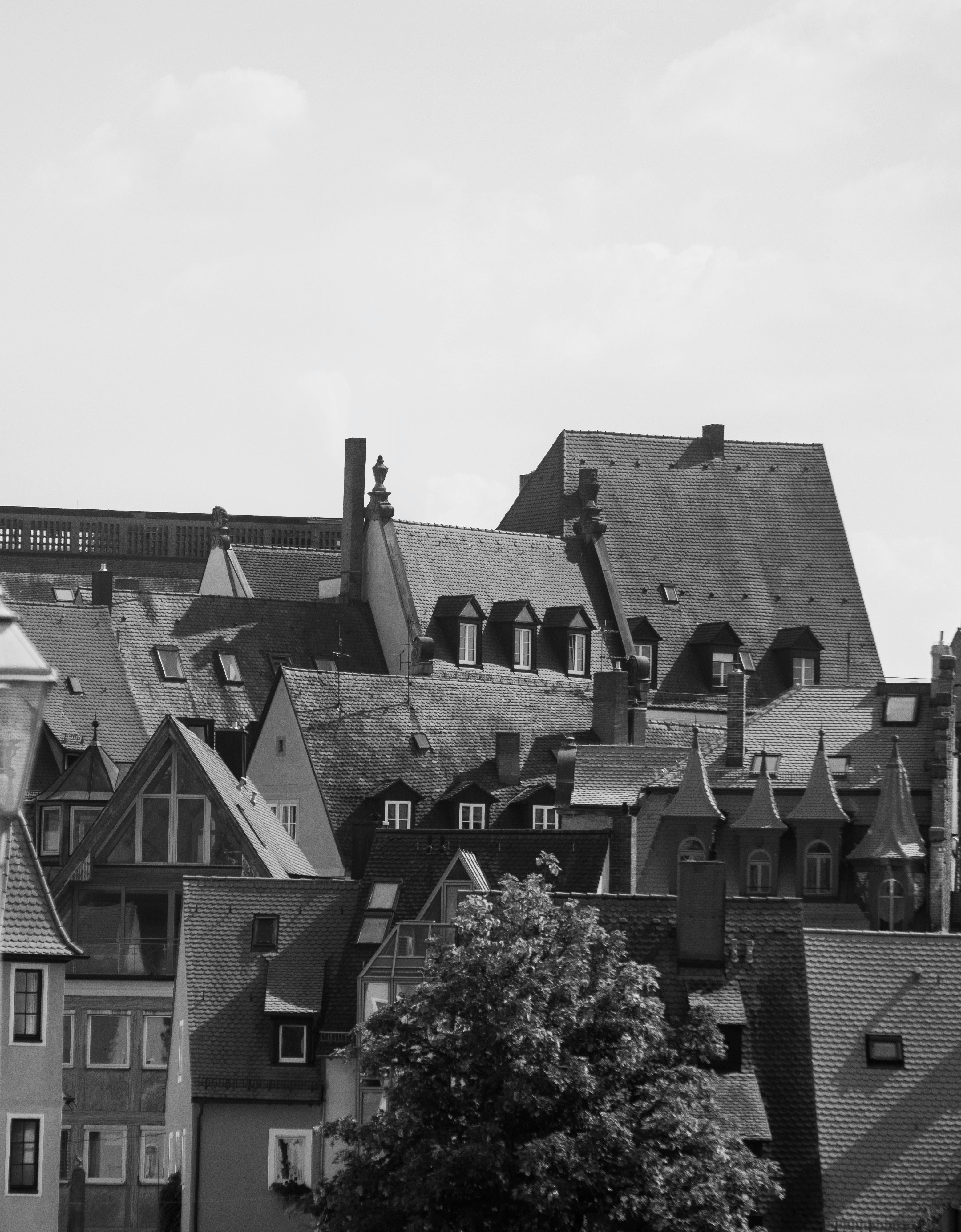 A monochrome view of a cluster of historic rooftops, showcasing intricate architectural details and textures. The scene evokes a sense of nostalgia and timelessness.
