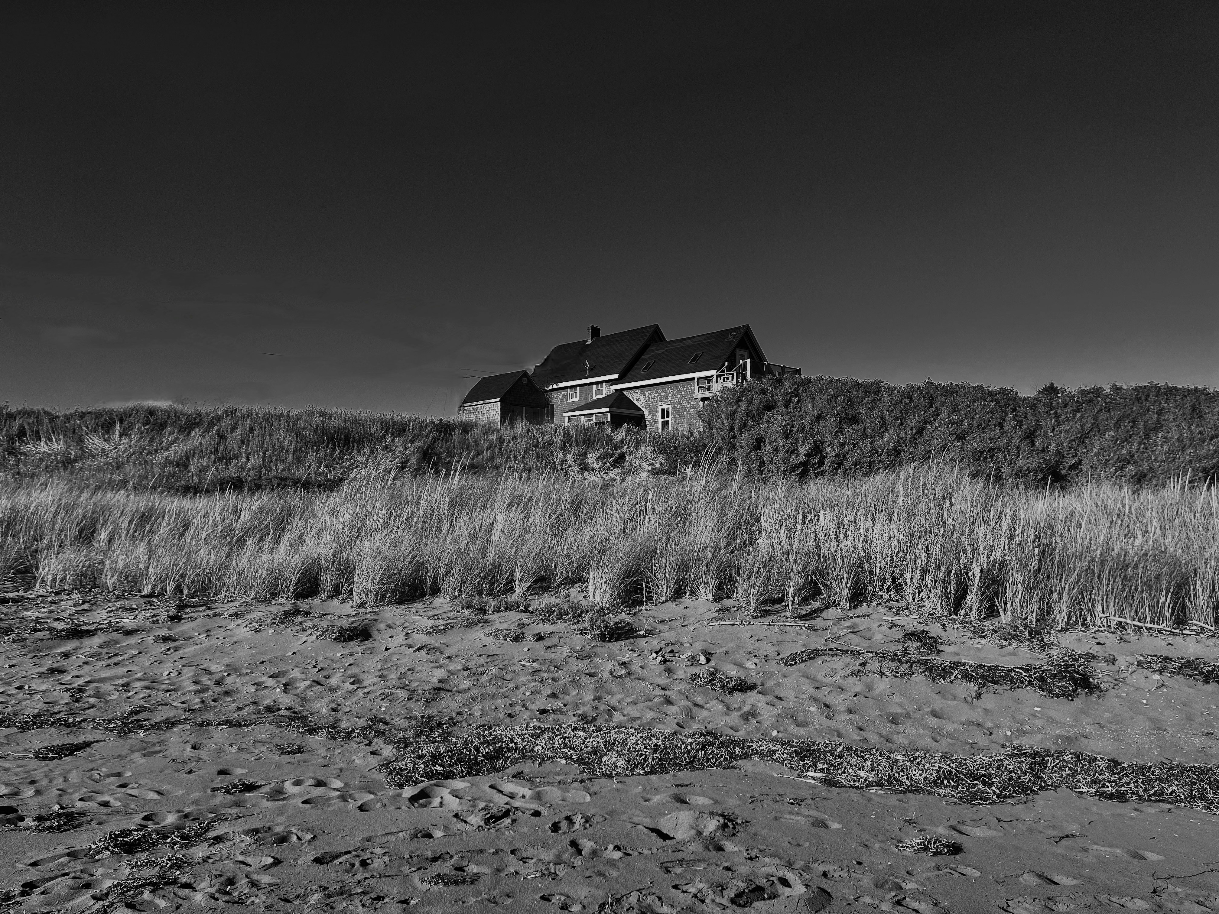 Whispers of the Shoreline Retreat