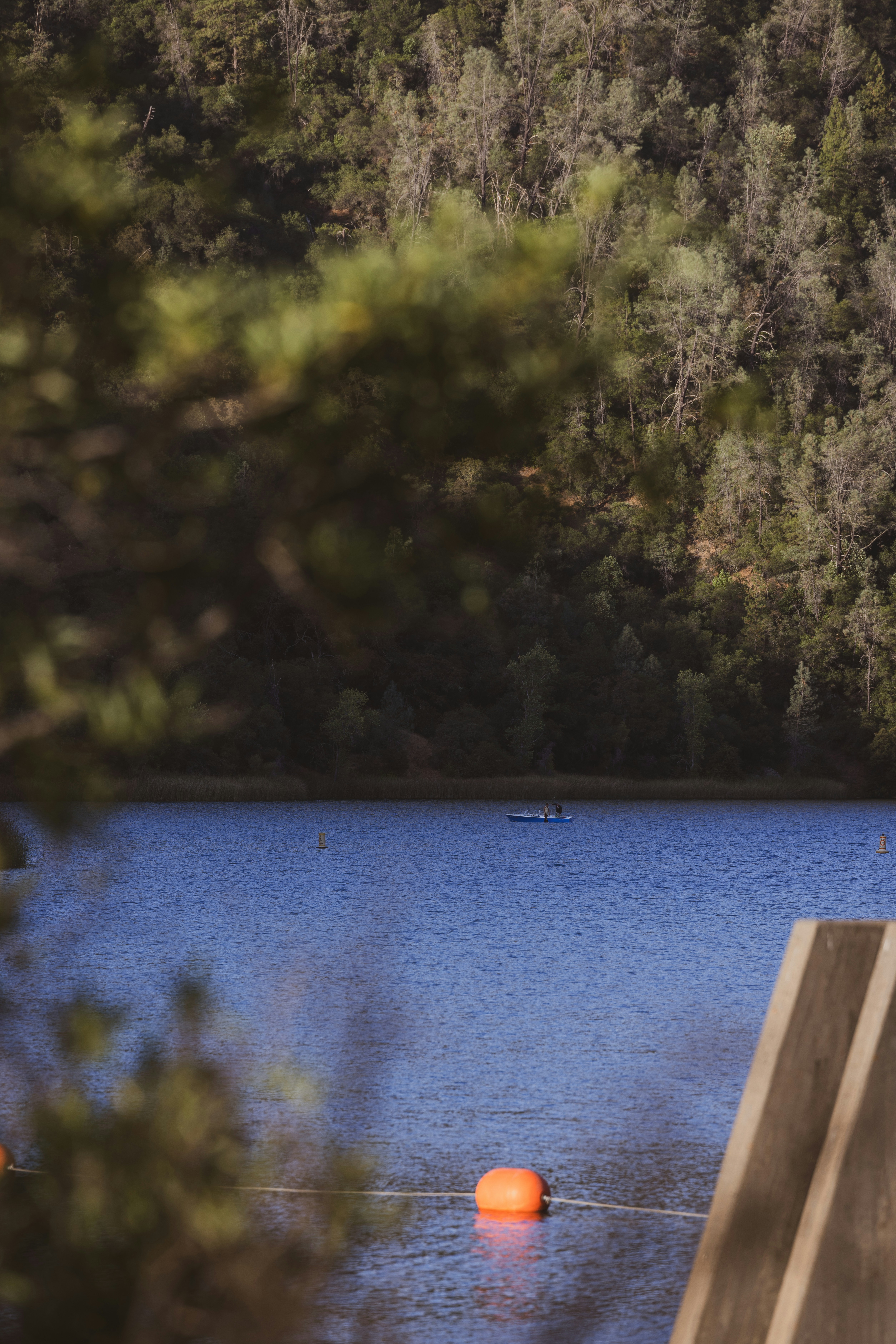Serenity on the Water: A Quiet Kayak Journey