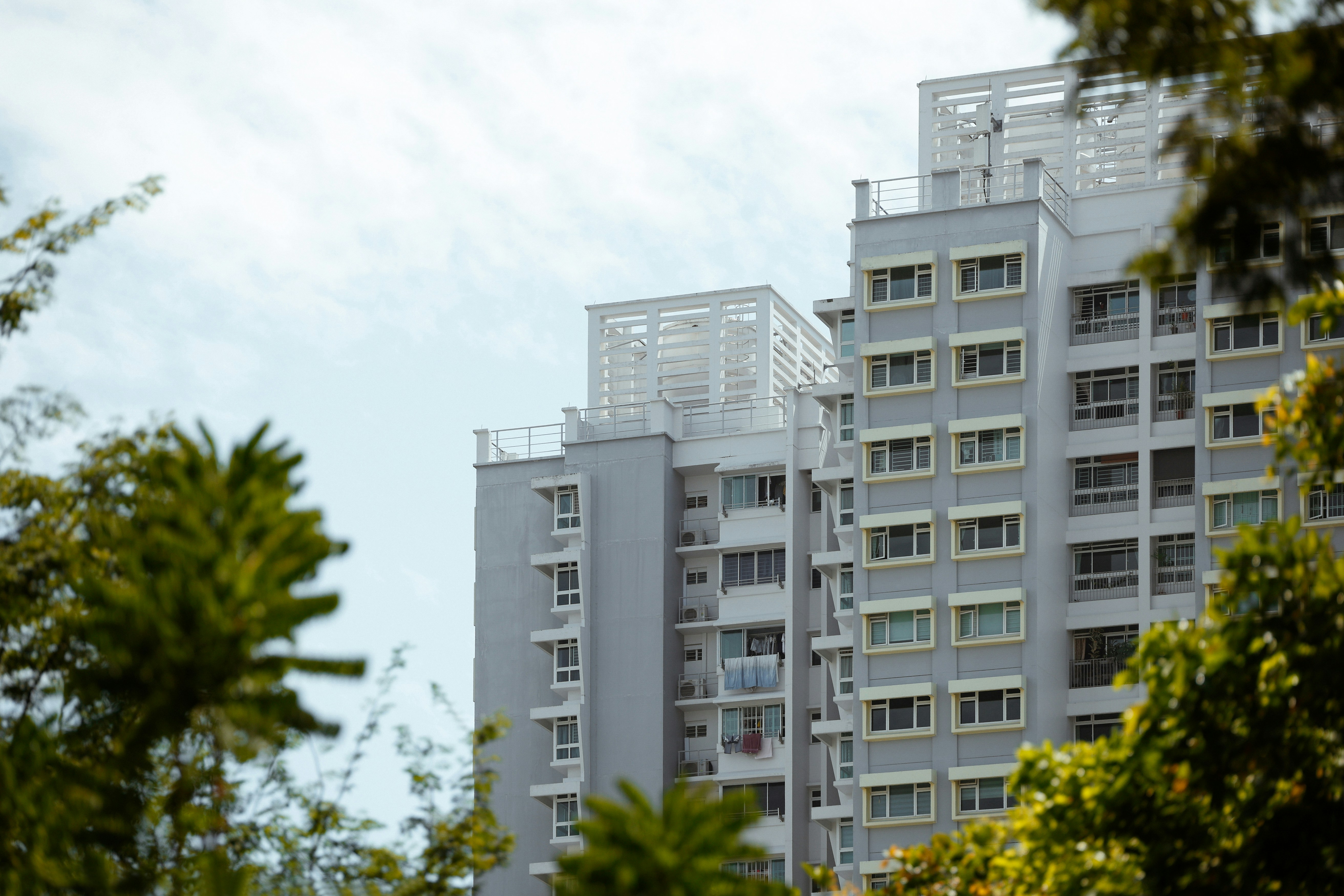 Urban Oasis: A Glimpse of Modern Living