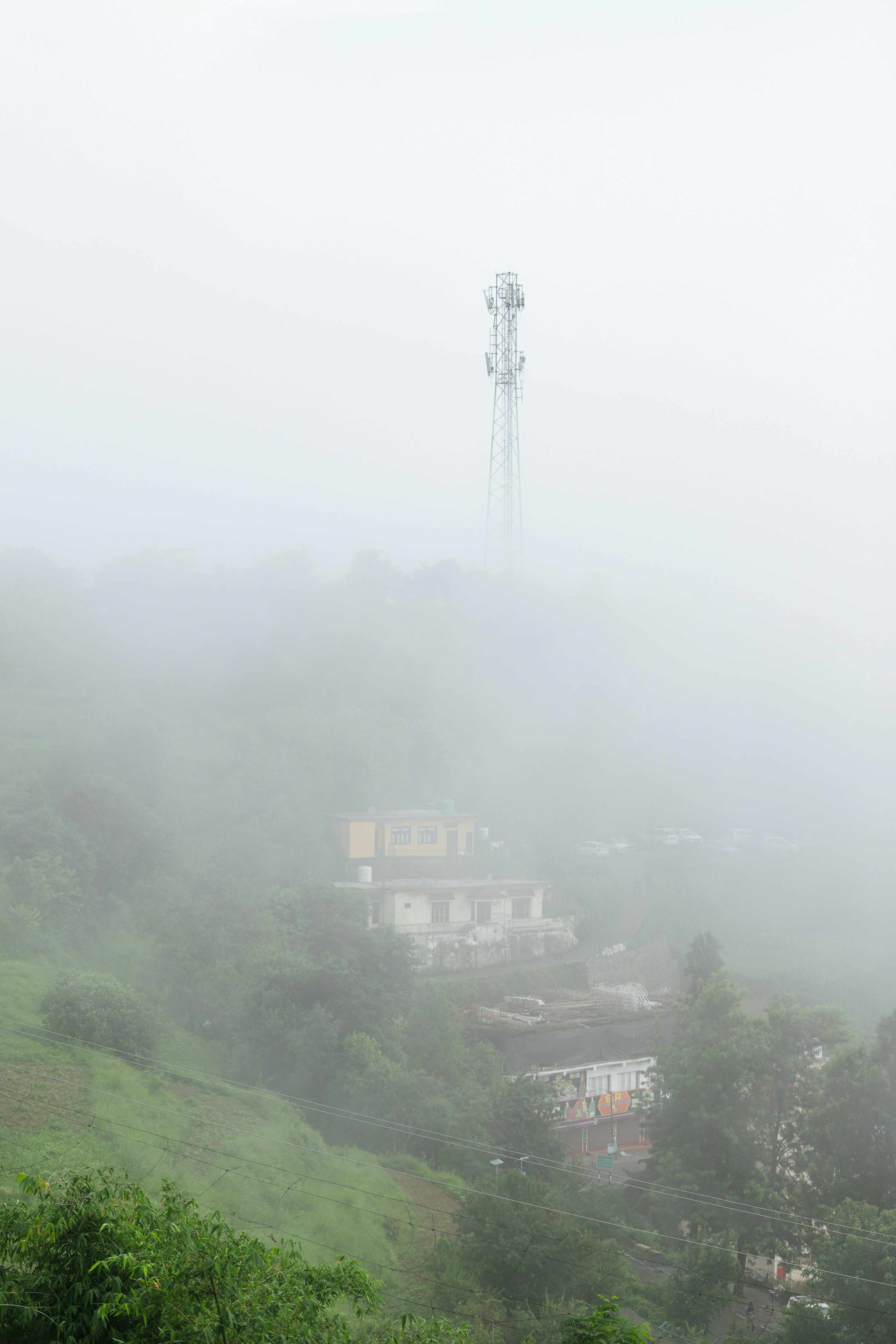 Whispers of the Misty Hills