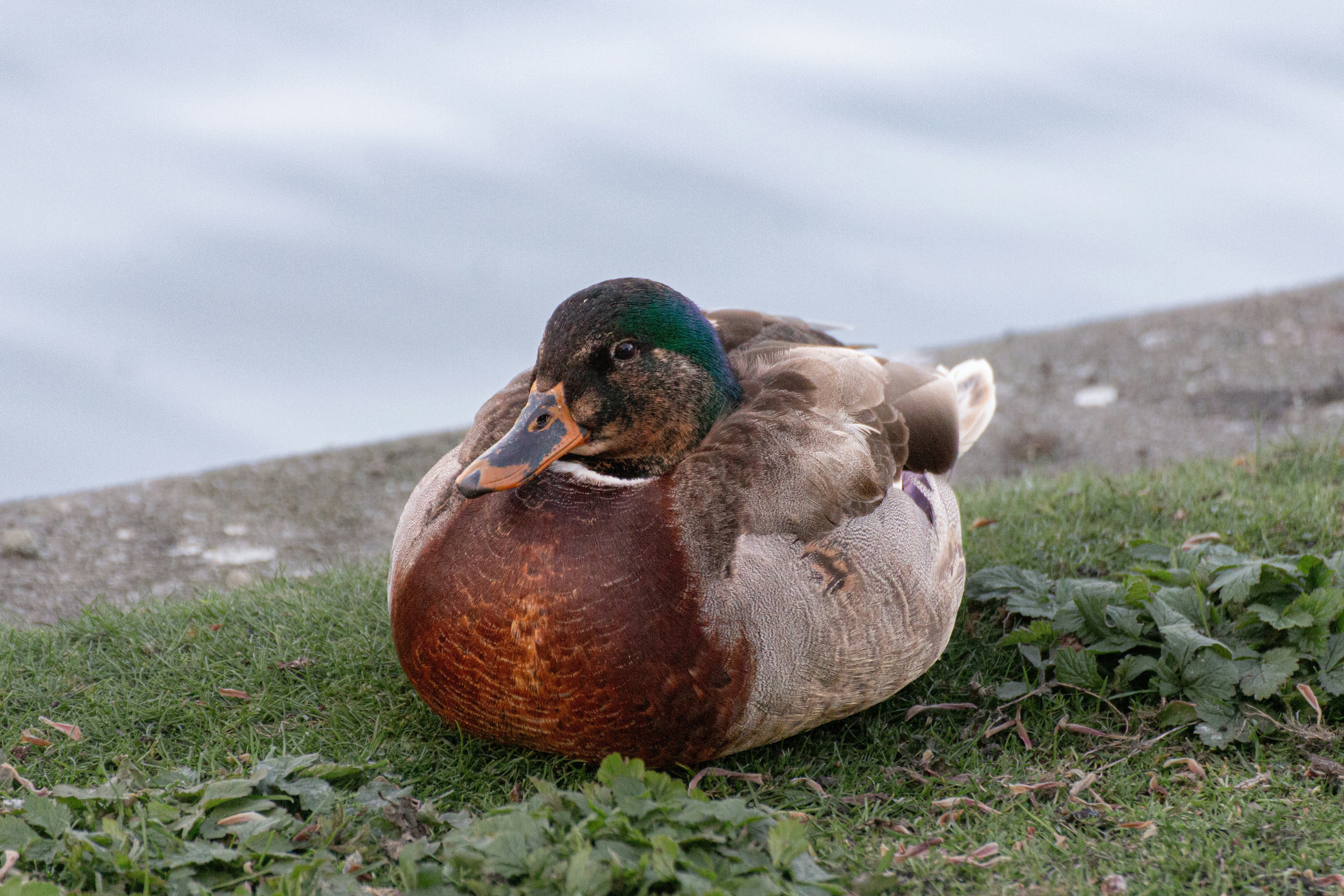 Serene Respite by the Water's Edge