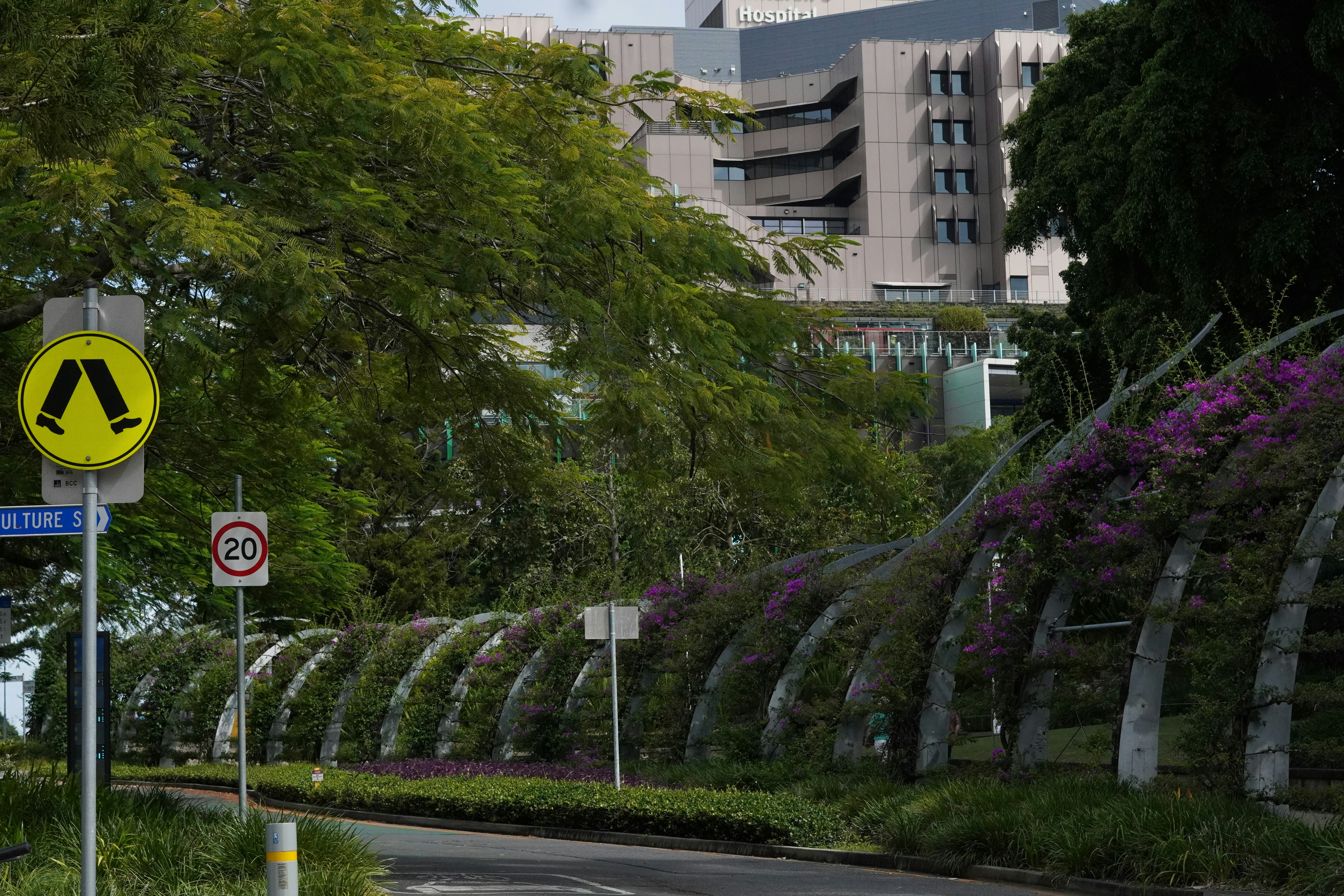 Urban Serenity Amidst Architectural Lines