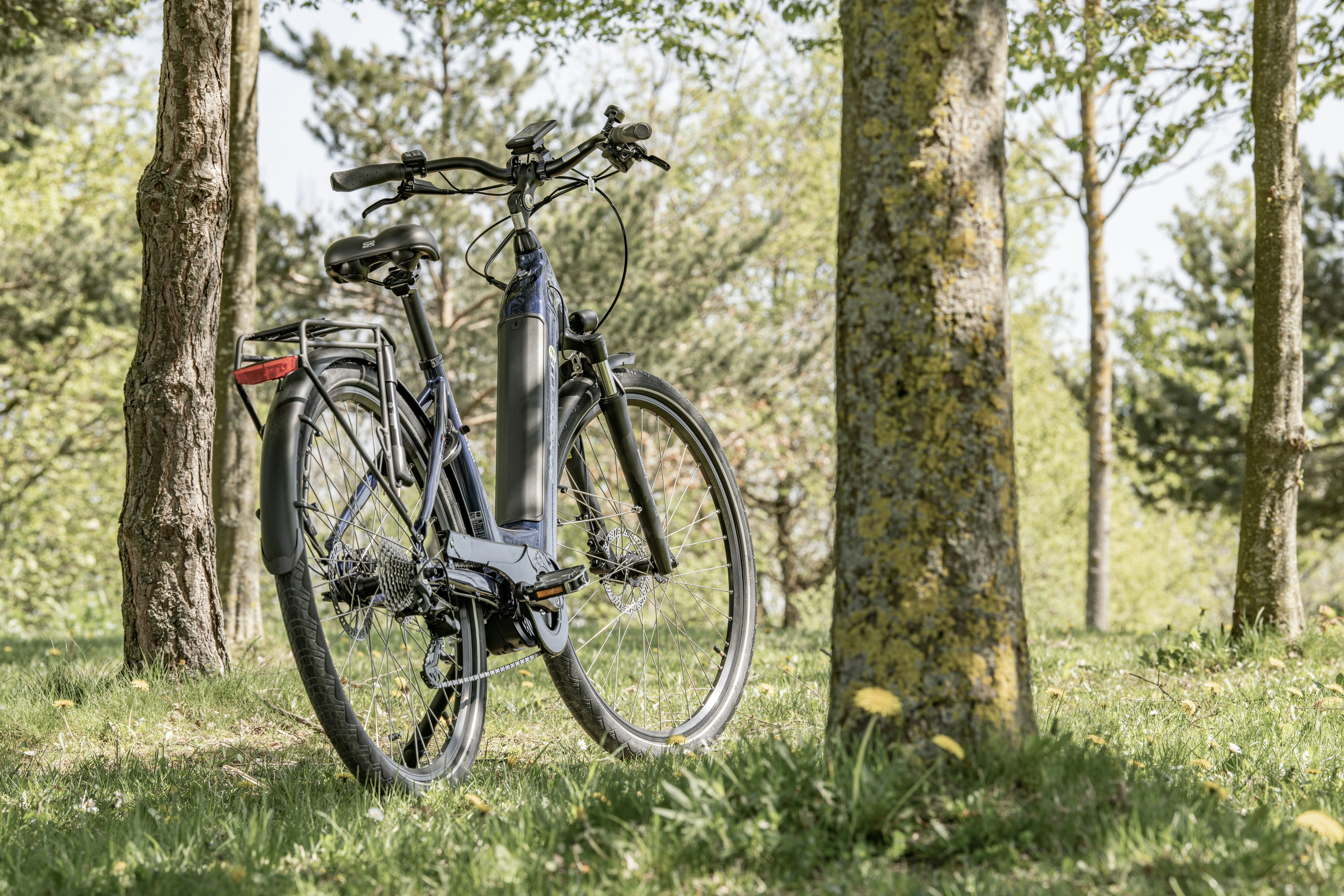 e-bike, nobody, city, blue, bike, bicycle, forest, Daytime, Germany, Munich, | An electric bicycle parked in a sunny forest clearing.
