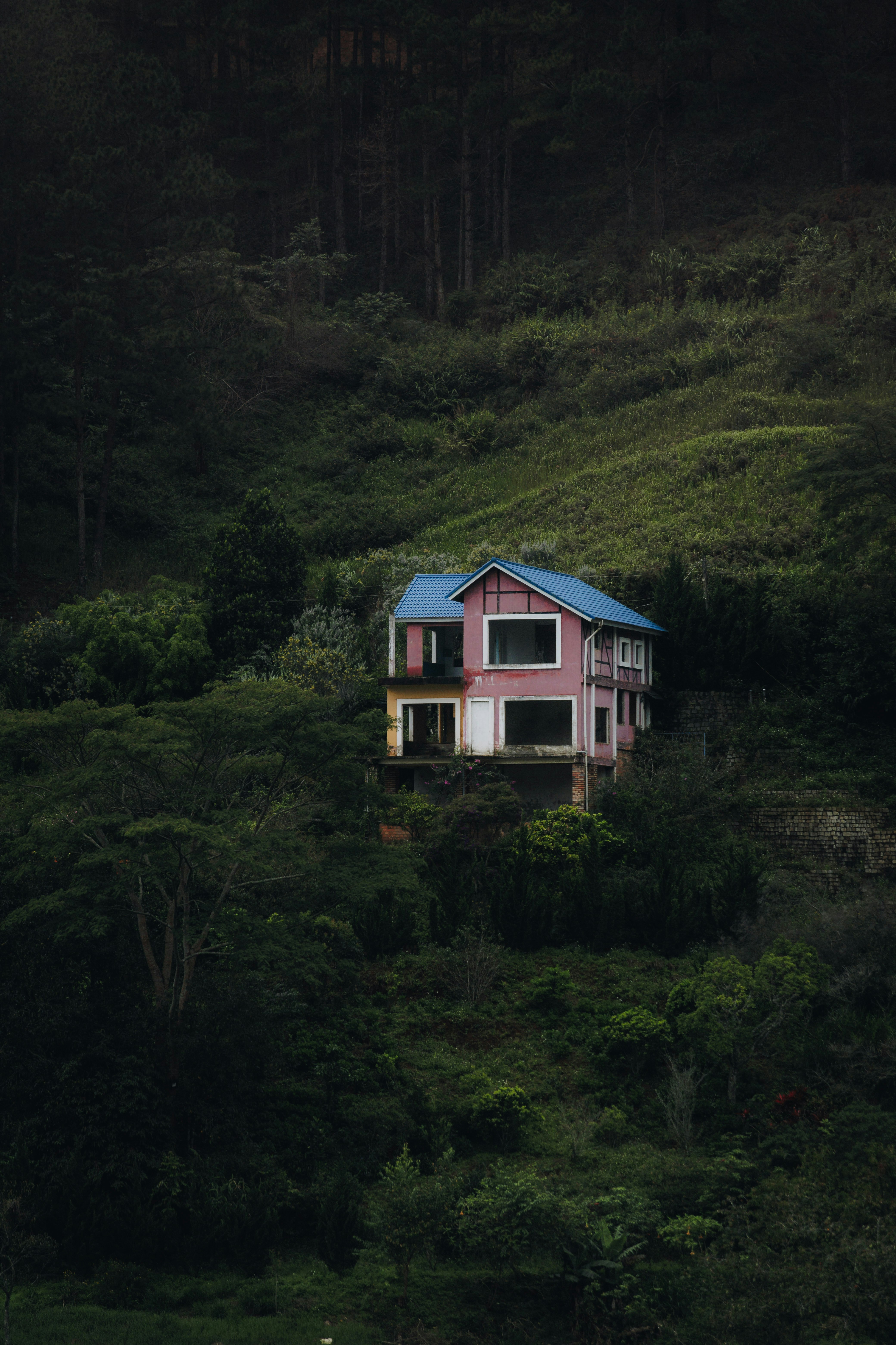 Solitary Dwelling Amidst Nature's Embrace