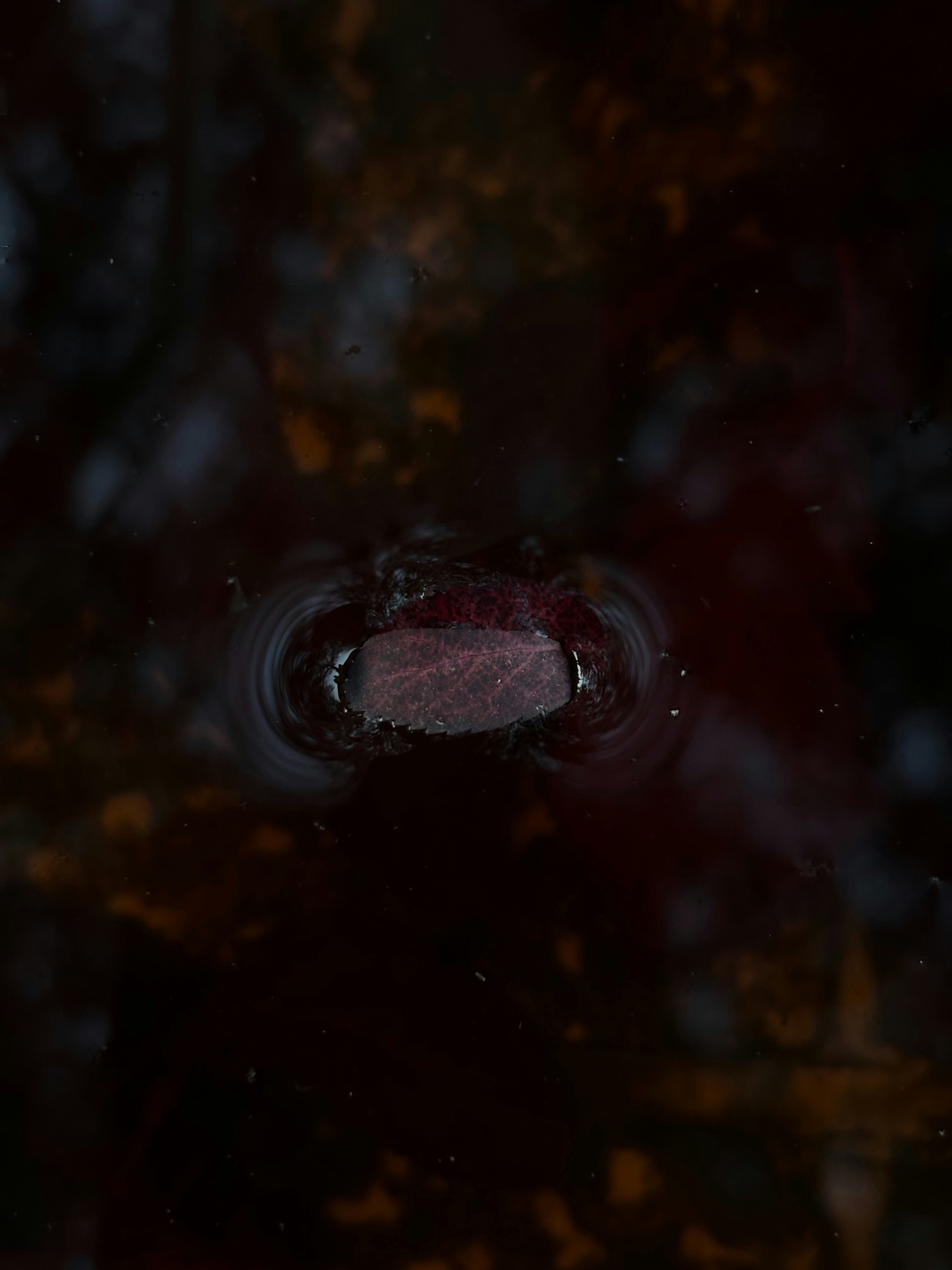 Reflections Beneath the Surface