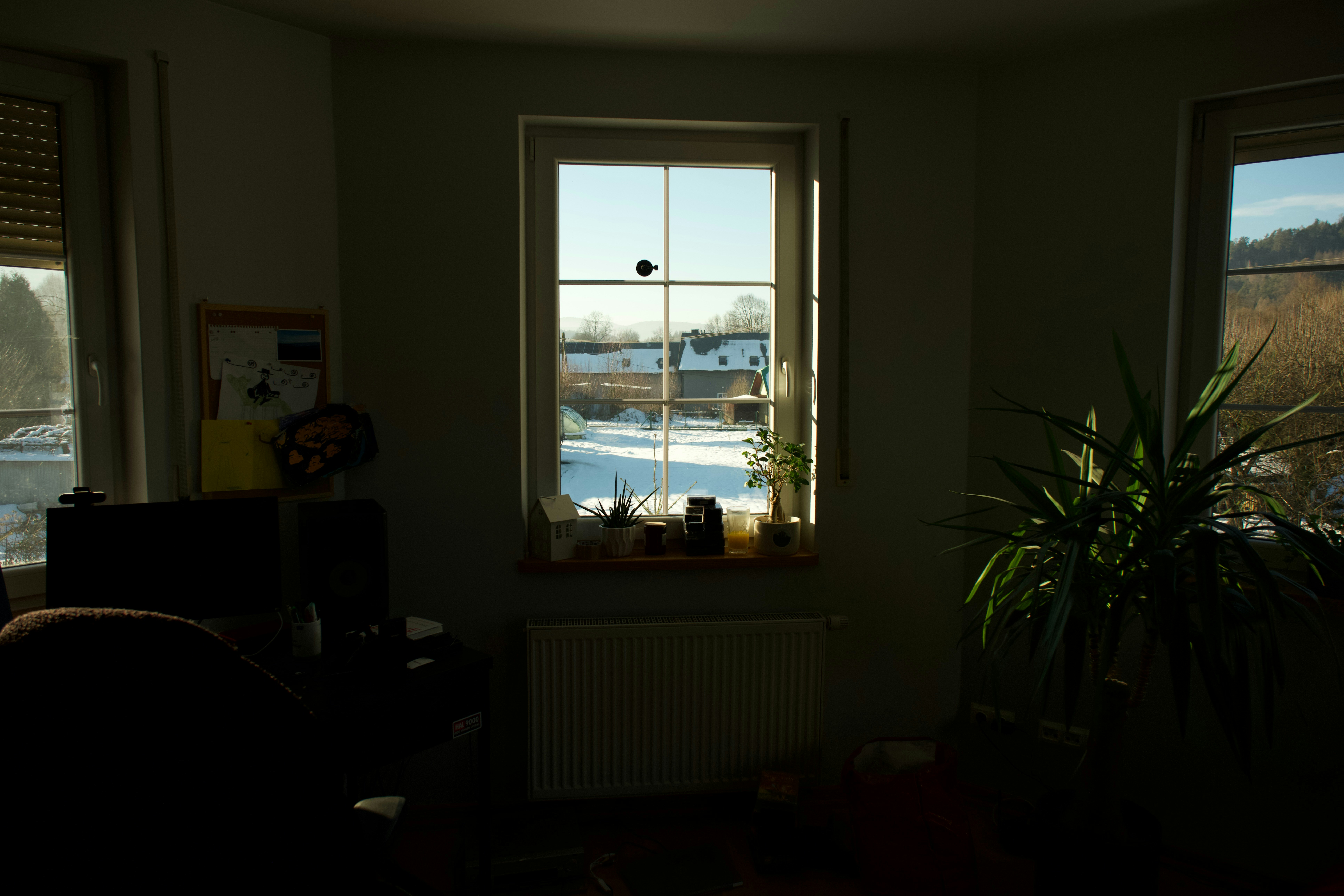 Sunlight streams through a window onto snow-covered landscape.
